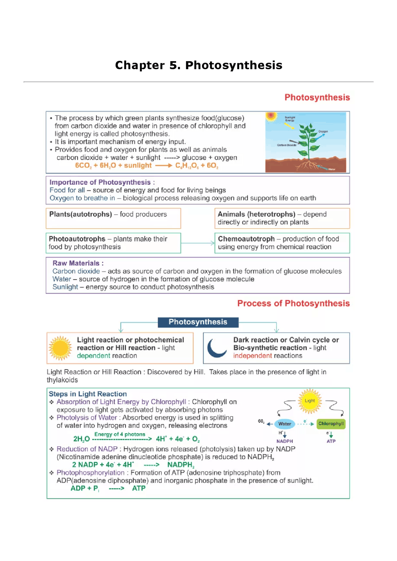 biology photosynthesis by plants | Cheat Sheet Biology | Docsity