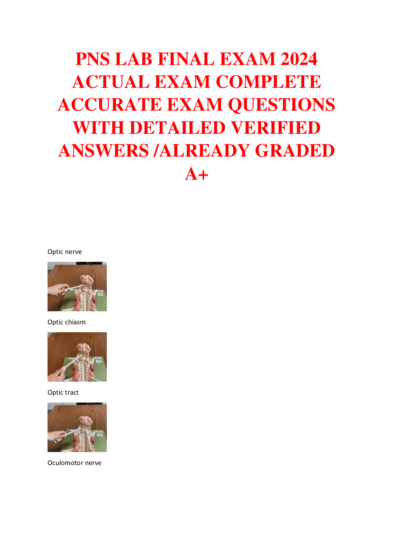 PNS LAB FINAL EXAM 2024 ACTUAL EXAM COMPLETE ACCURATE EXAM QUESTIONS ...