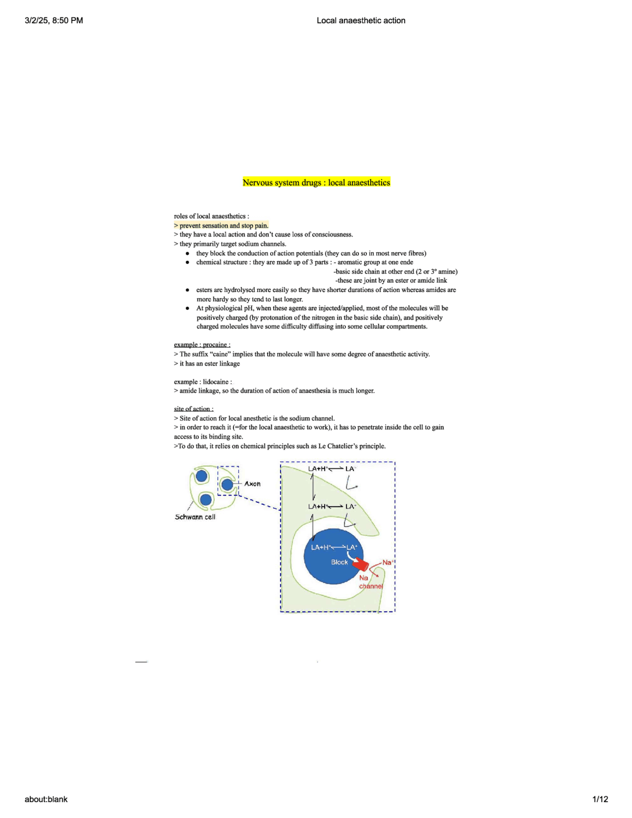 Local anaesthetic action-Introduction to mechanism of Drug Action ...