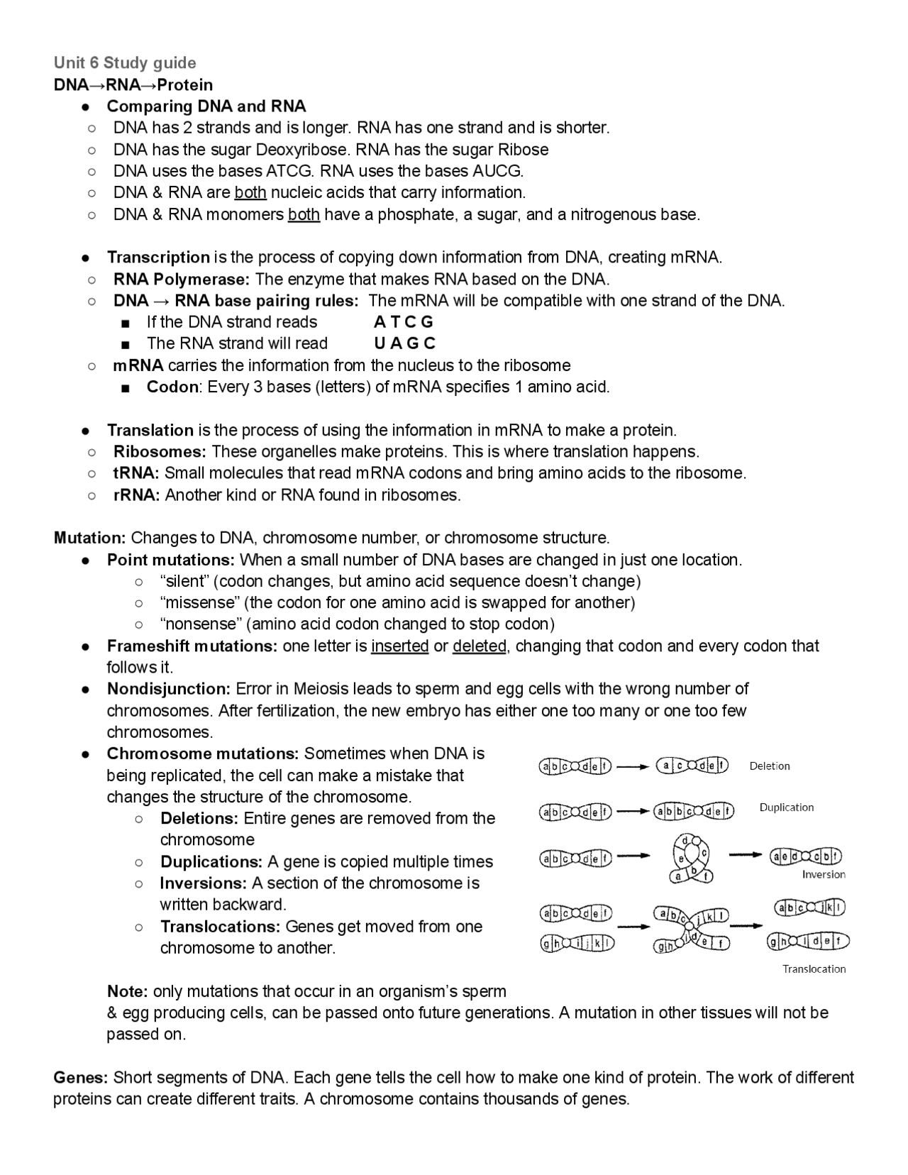 High School Genetics Review Guide | Study notes Biology | Docsity