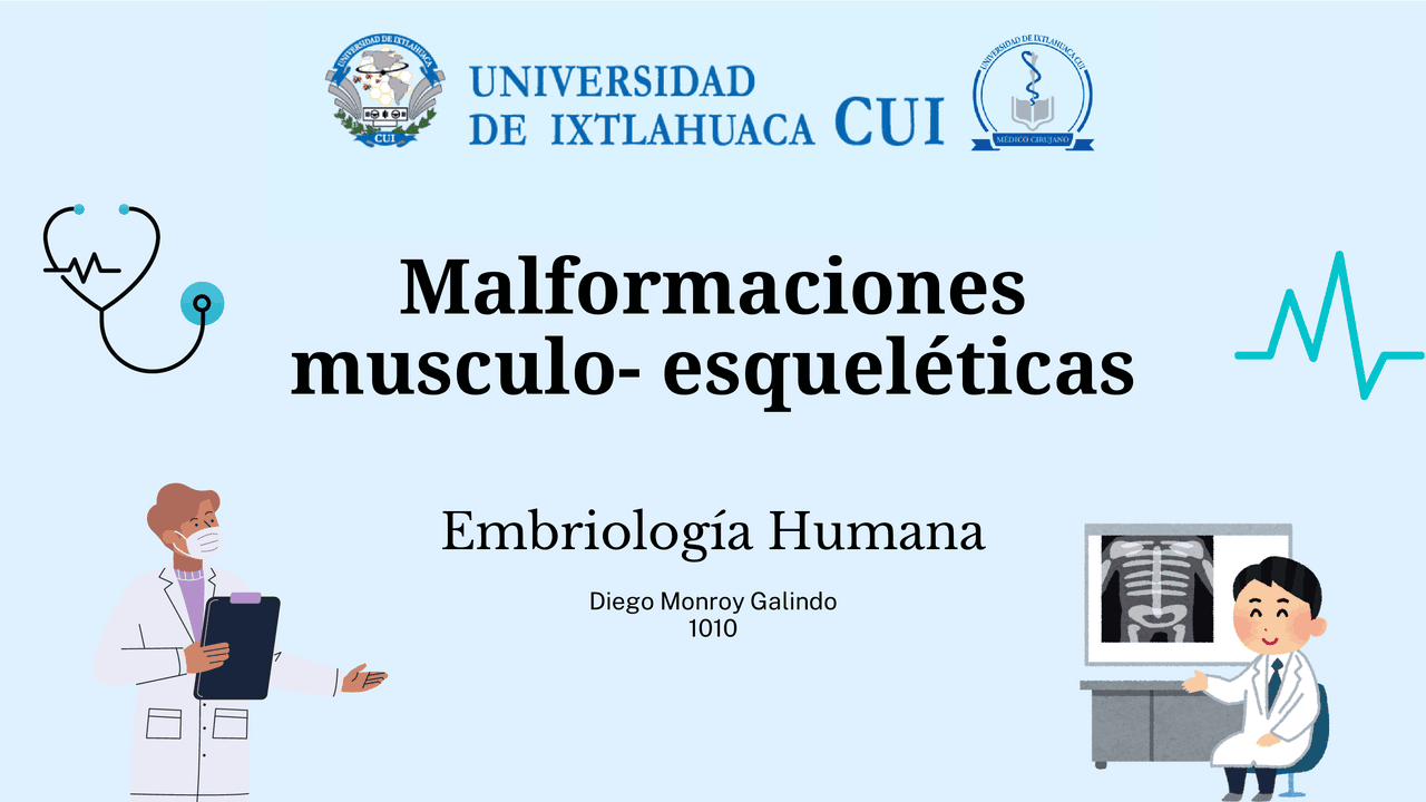 Músculos, embriología | Schemes and Mind Maps Embryology | Docsity