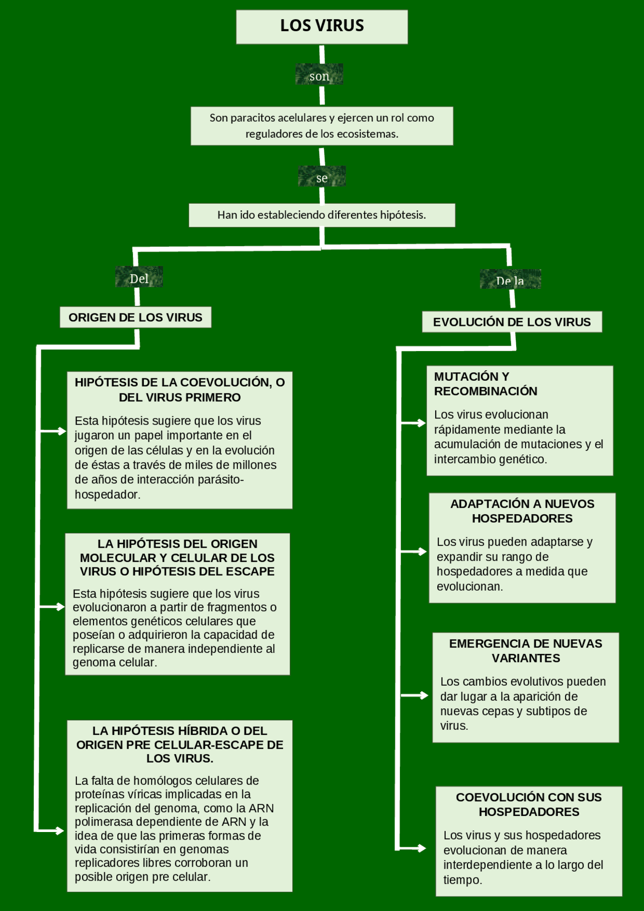 los Virus origines y evolución | Esquemas y mapas conceptuales de ...