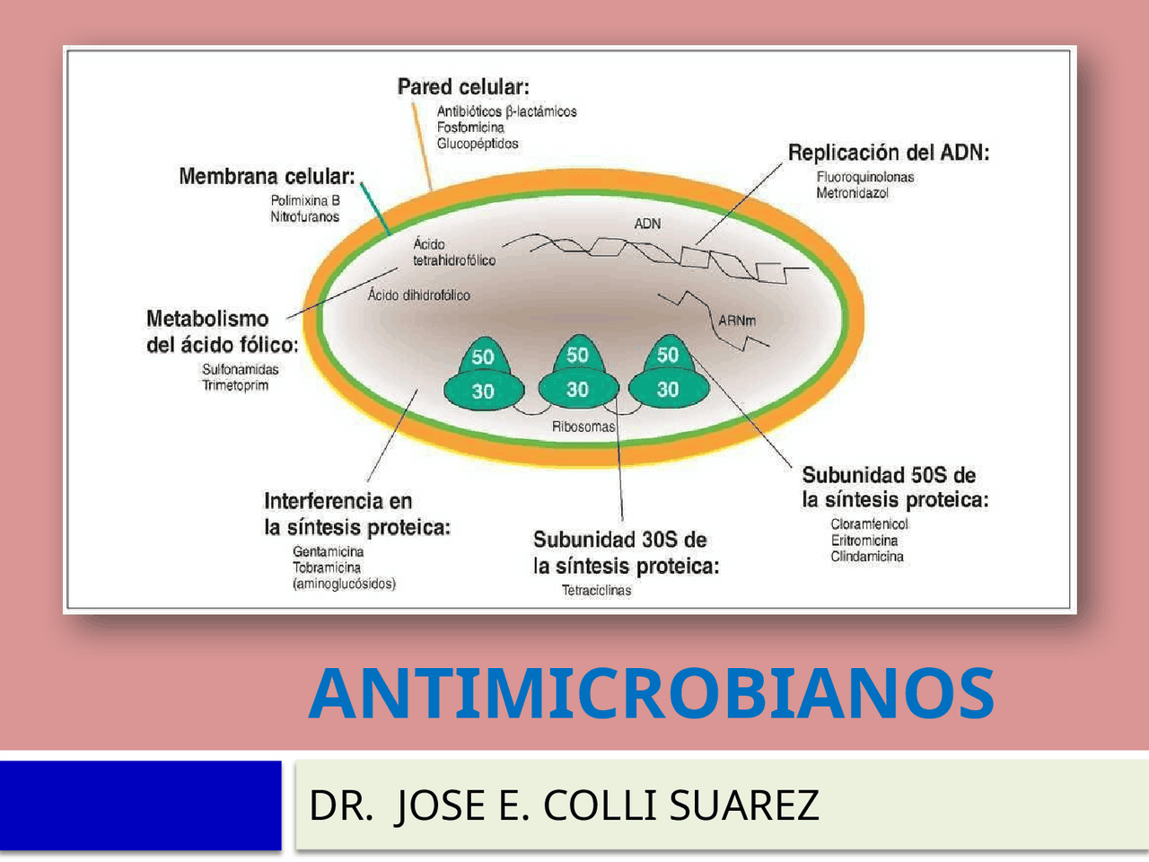 farmacologia de los antibioticos antimicrobianos. prsentacion | Schemes and Mind Maps Medicine ...