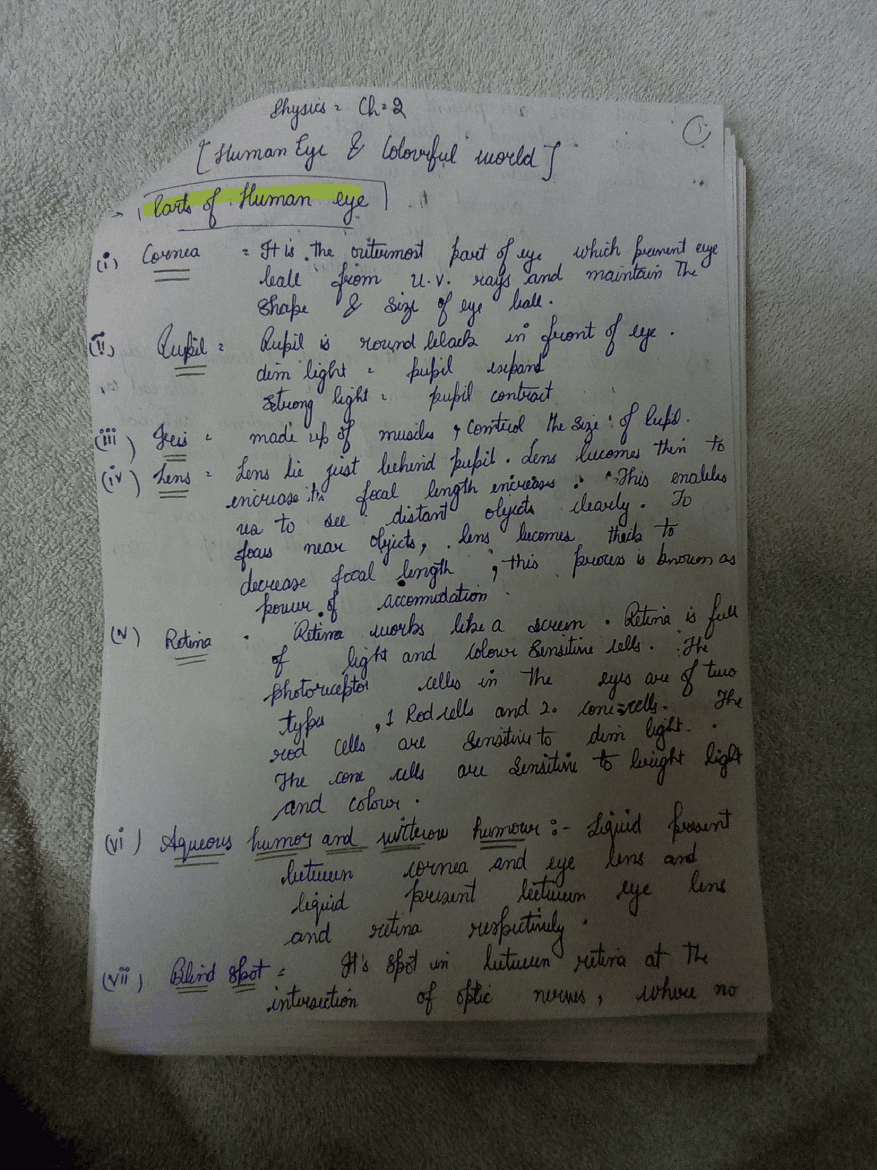 Physics grade 10 human eye notes | Study notes Physics | Docsity