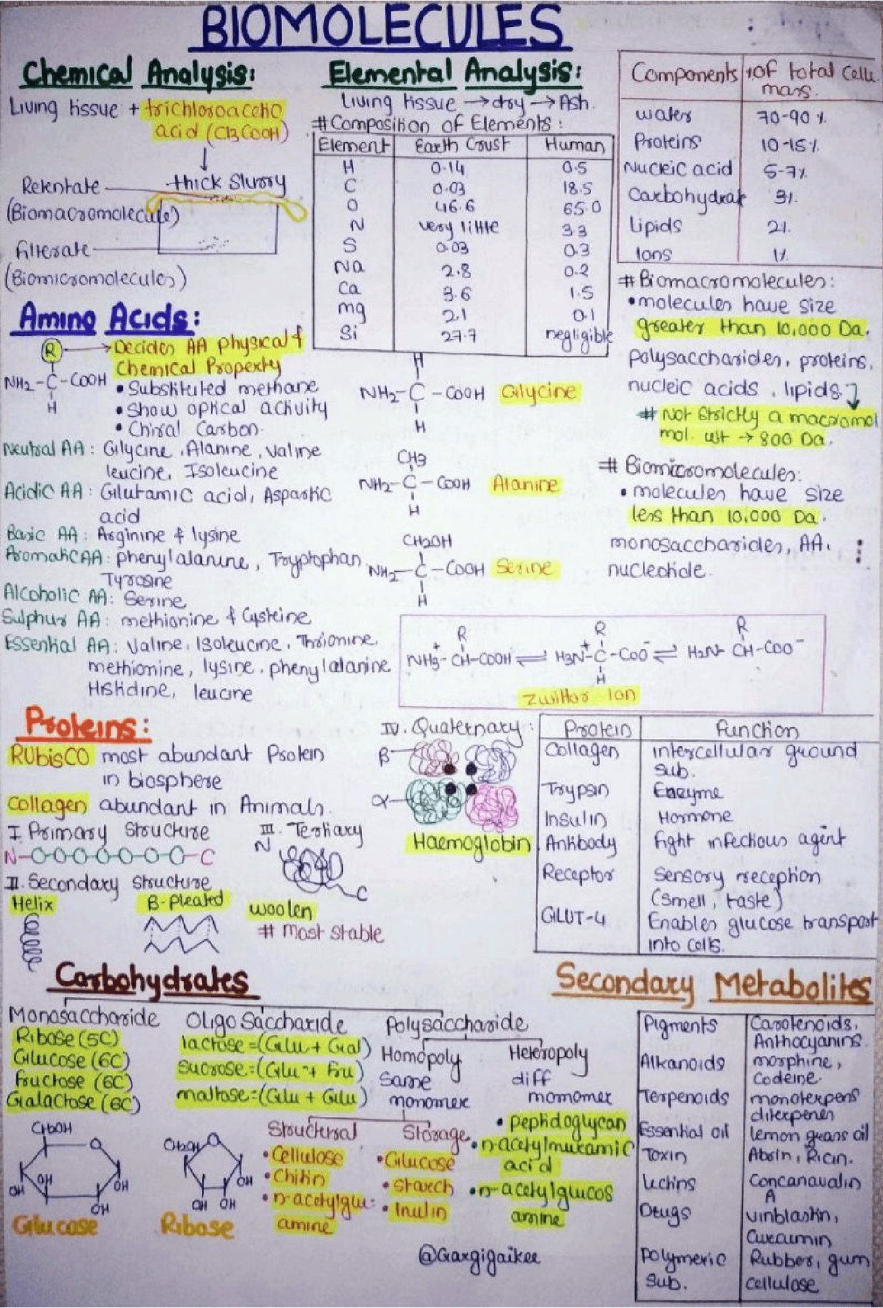 Biomolecules class 11th chapter 9 | Schemes and Mind Maps Biology | Docsity