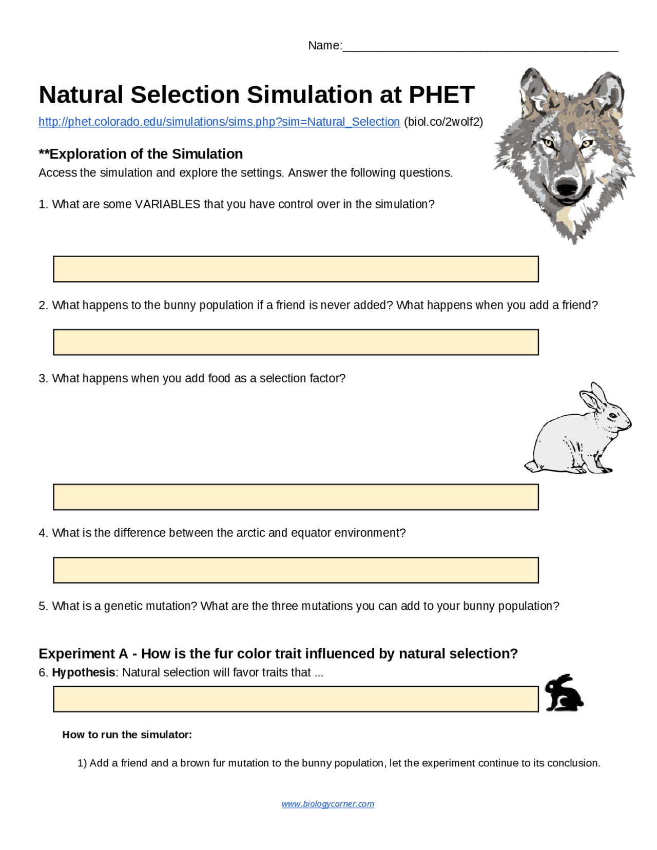 Natural Selection Simulation at PHET | Summaries Environmental science ...