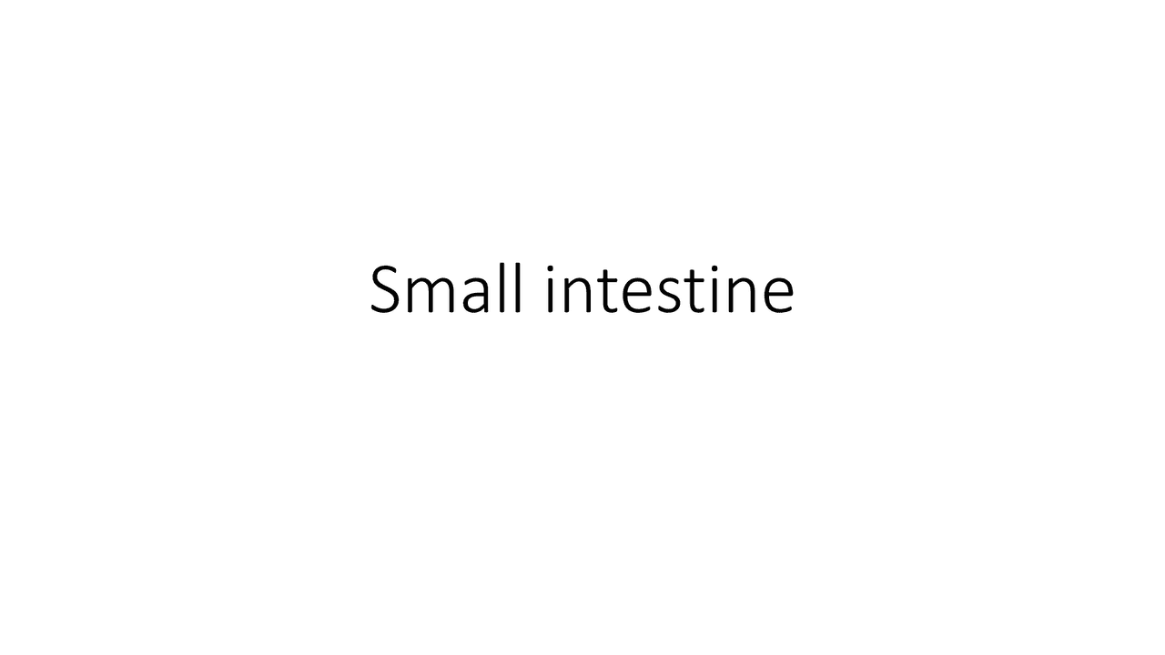 Small Intestine NOTES | Lecture notes Physiology | Docsity