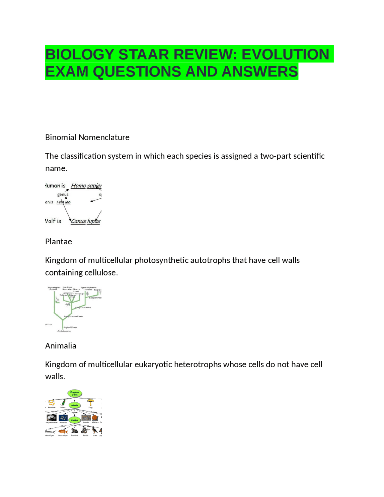 Biology STAAR Review: Key Concepts in Evolution | Exams Advanced ...