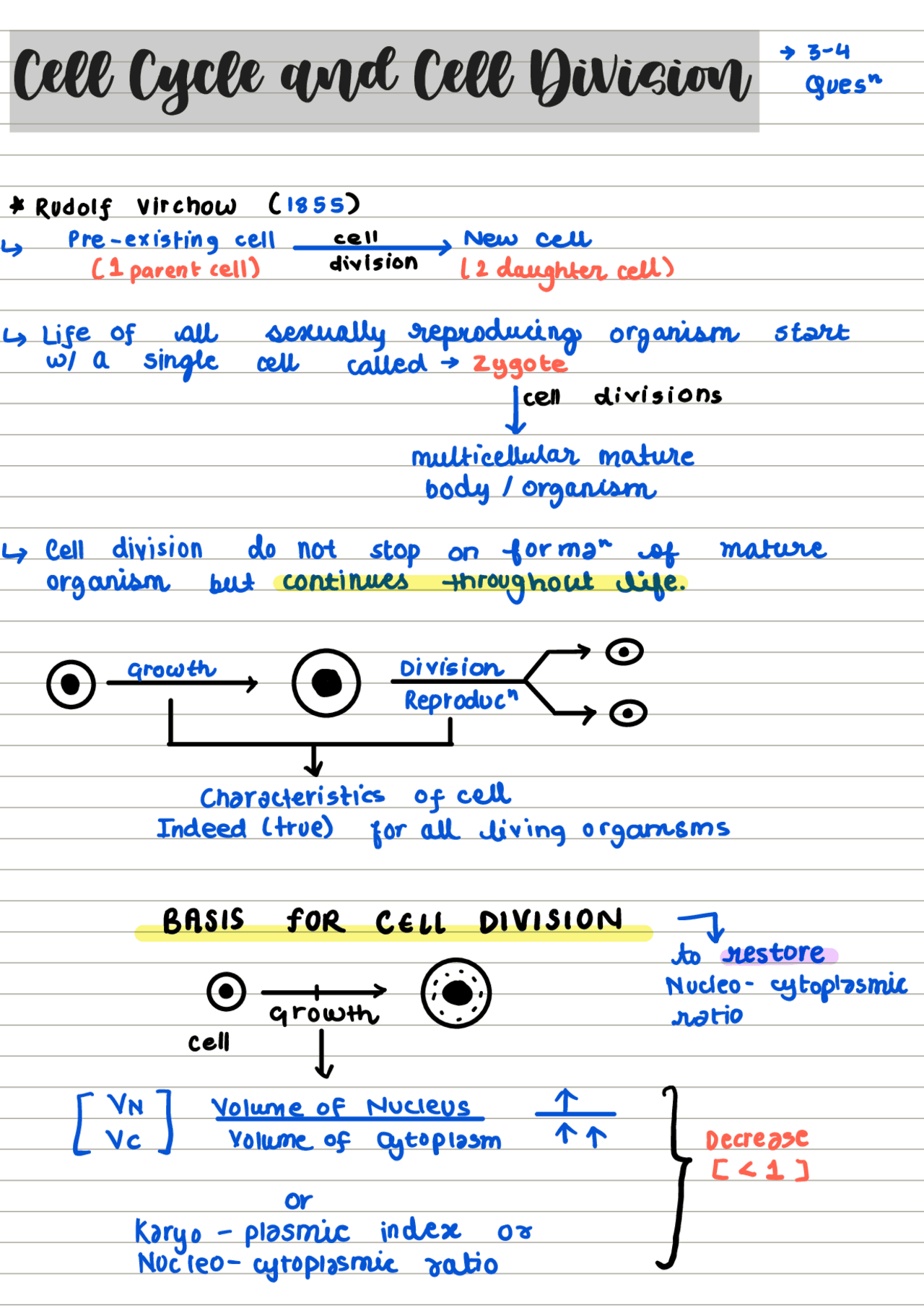 Cell Cycle and Division | Lecture notes Botany | Docsity