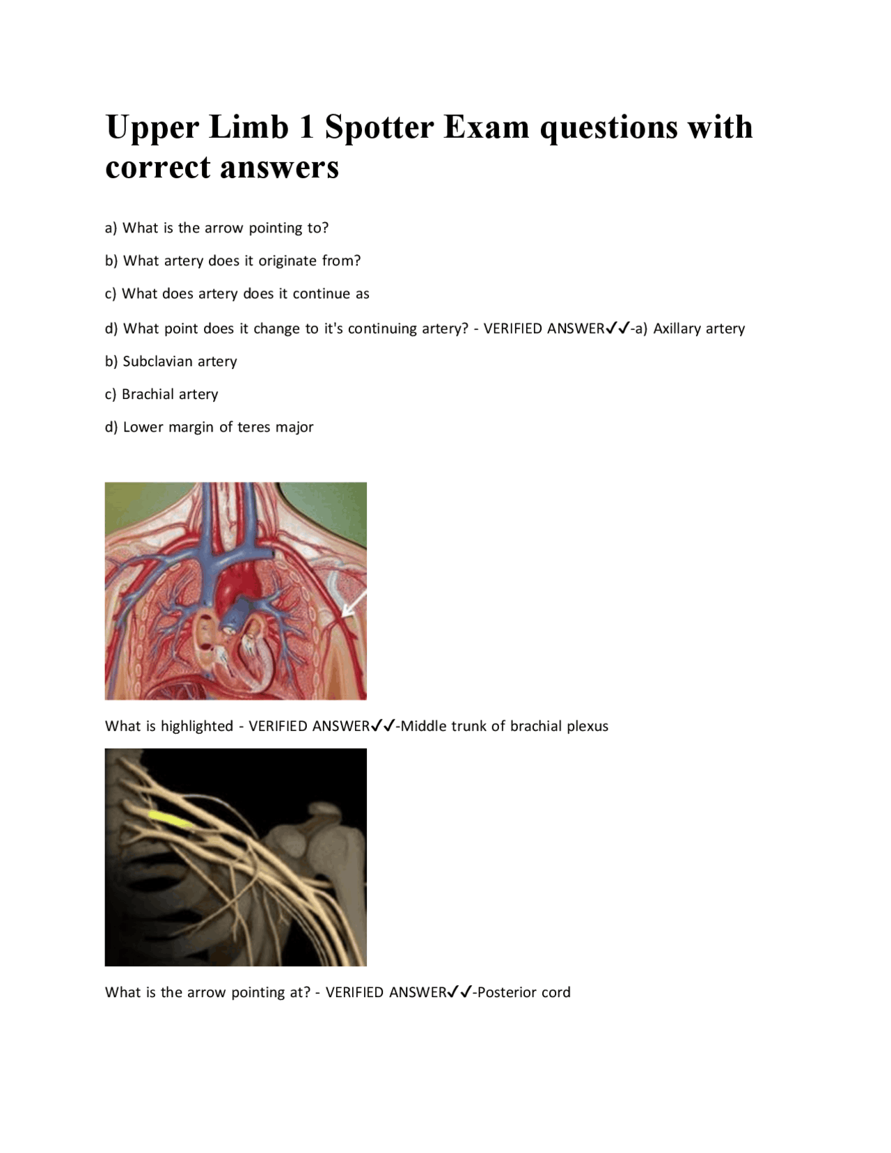 Upper Limb 1 Spotter Exam questions with correct answers | Exams ...