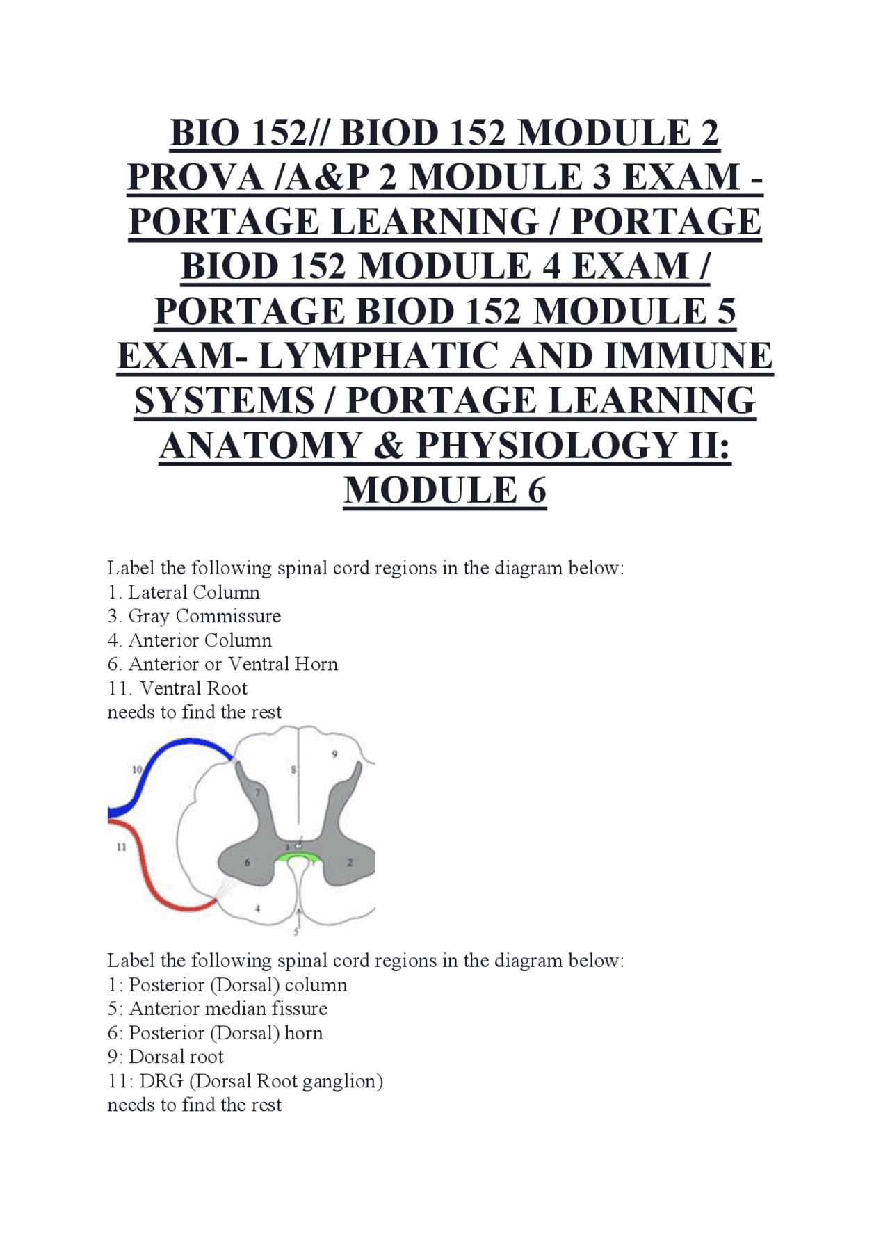 BIO 152// BIOD 152 MODULE 2 PROVA /A&P 2 MODULE 3 EXAM - PORTAGE ...