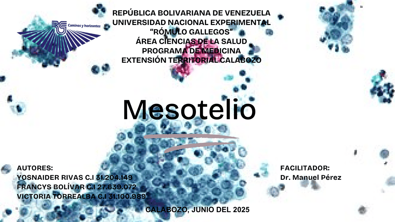 Mesotelio y su estructura | Slides Histology | Docsity