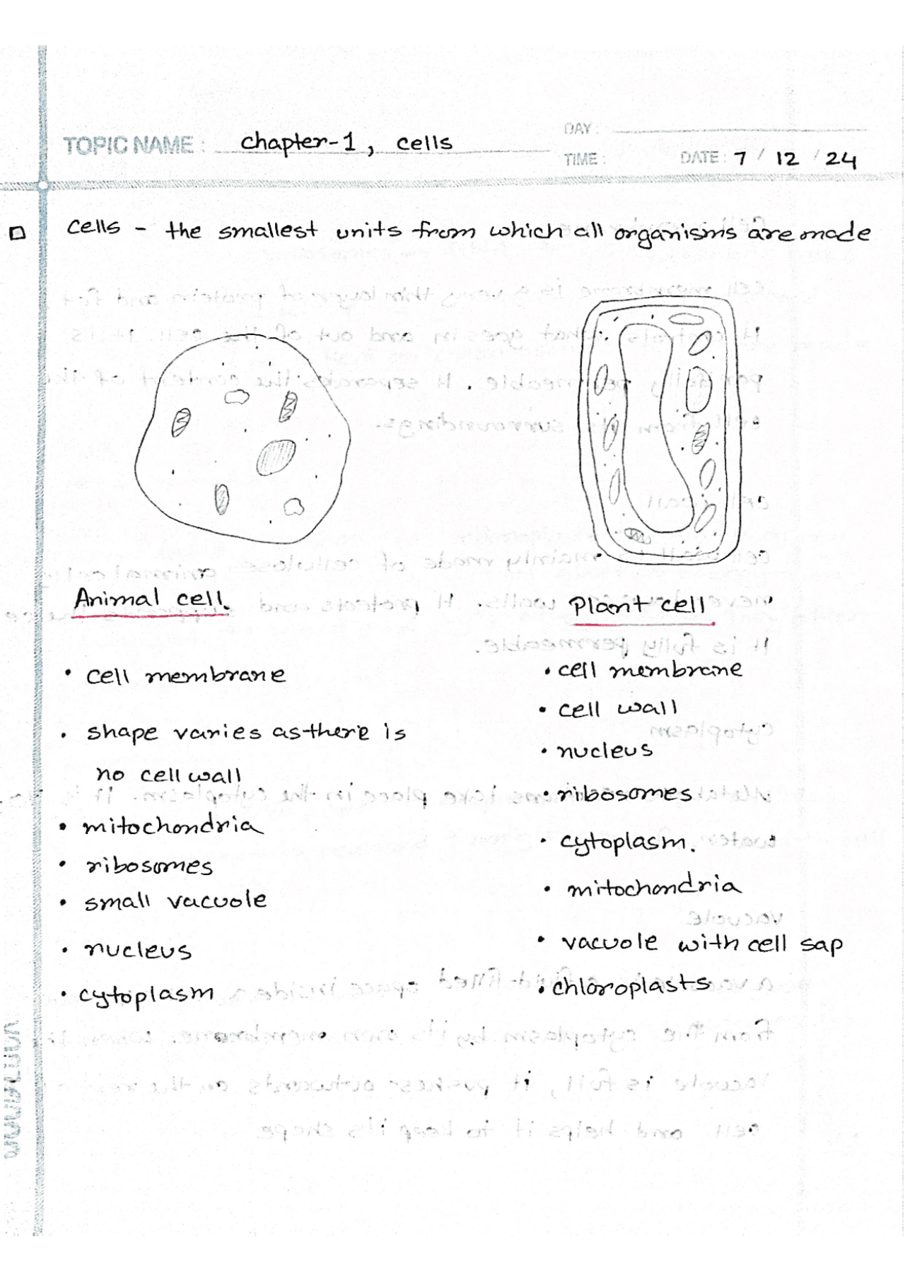 IGCSE biology - cells cheat sheet | Study notes Biology | Docsity