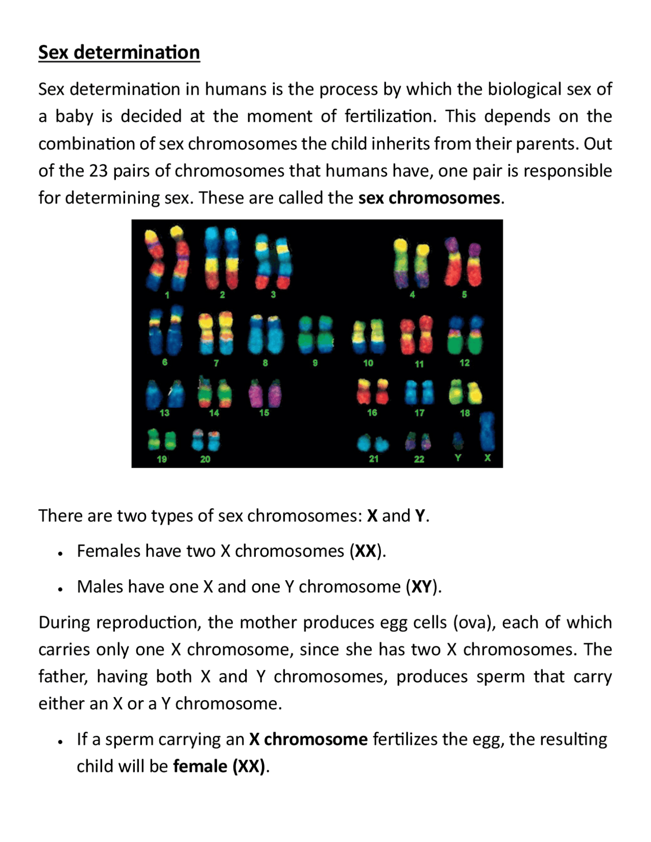 genetics study guide (3rd lesson) | Study Guides, Projects, Research ...