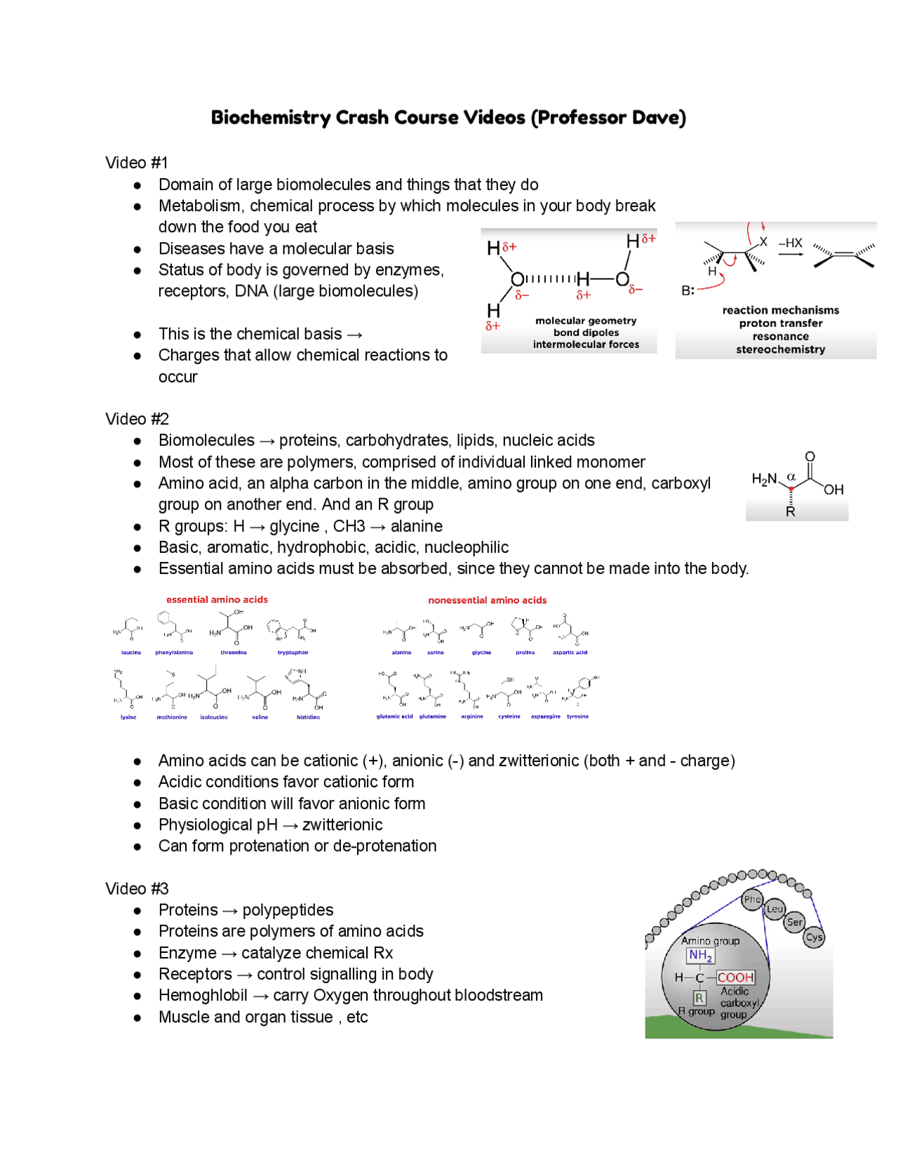 biochem crash course notes | Cheat Sheet Biology | Docsity