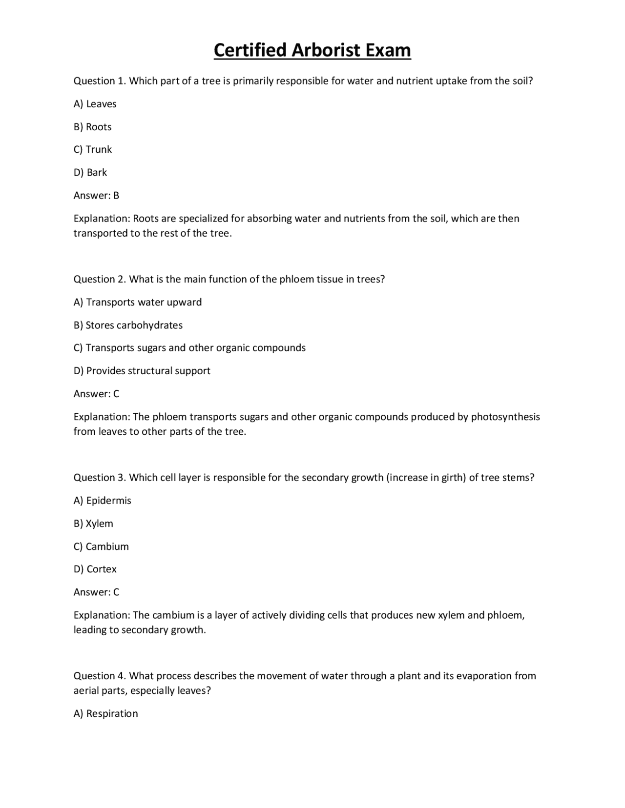 Certified Arborist Exam: Tree Biology and Physiology Questions | Exams ...