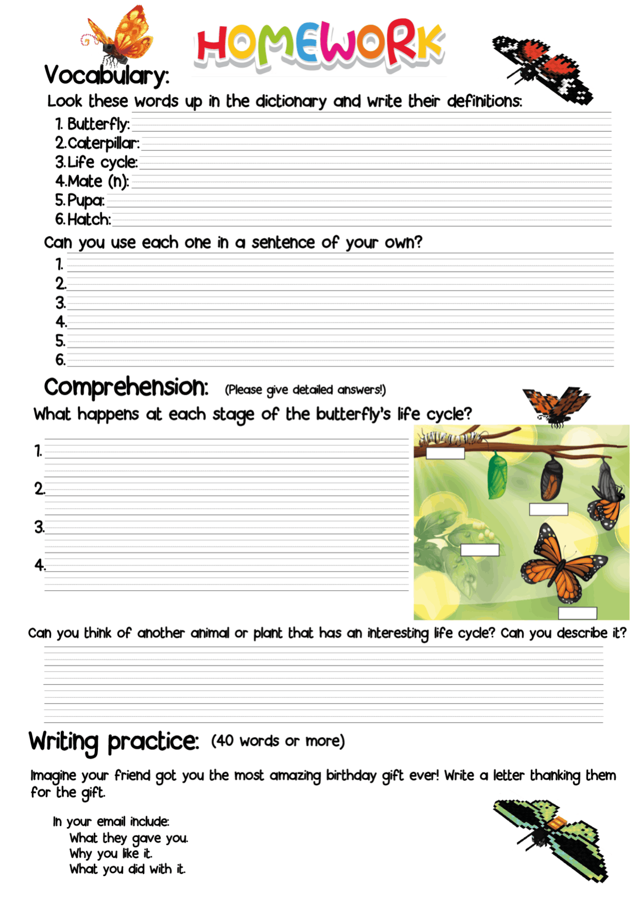 Butterfly Life Cycle | Exercises Biology | Docsity