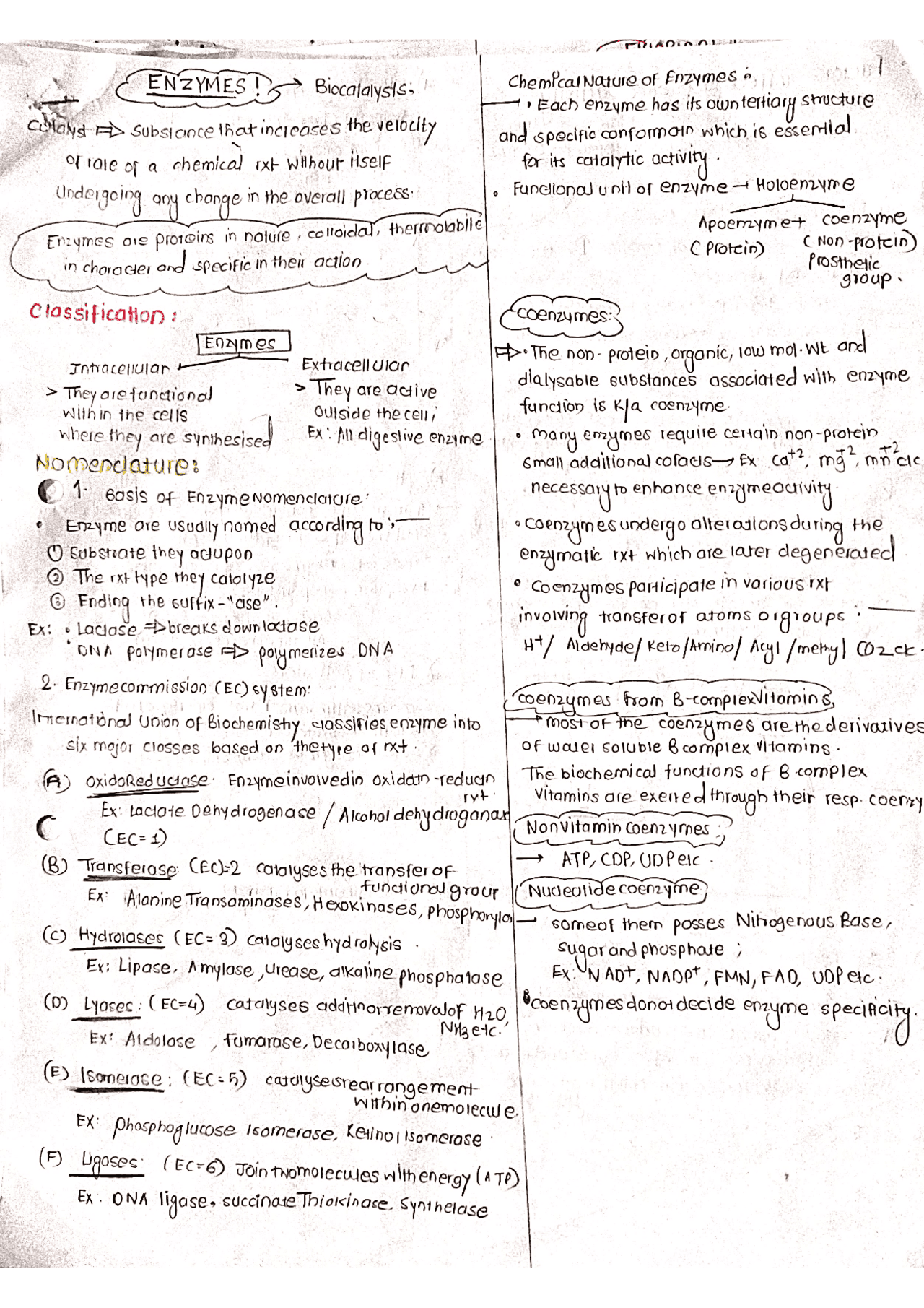 Biochemistry 1st BDS Cheat Sheet | Cheat Sheet Biochemistry | Docsity