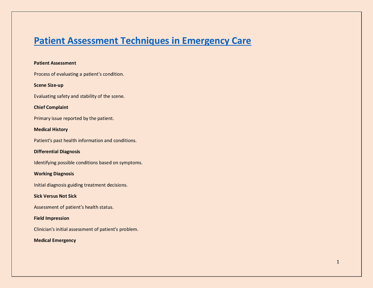 “Assess Like a Pro: The Rapid-Fire Emergency Assessment Guide Every ...