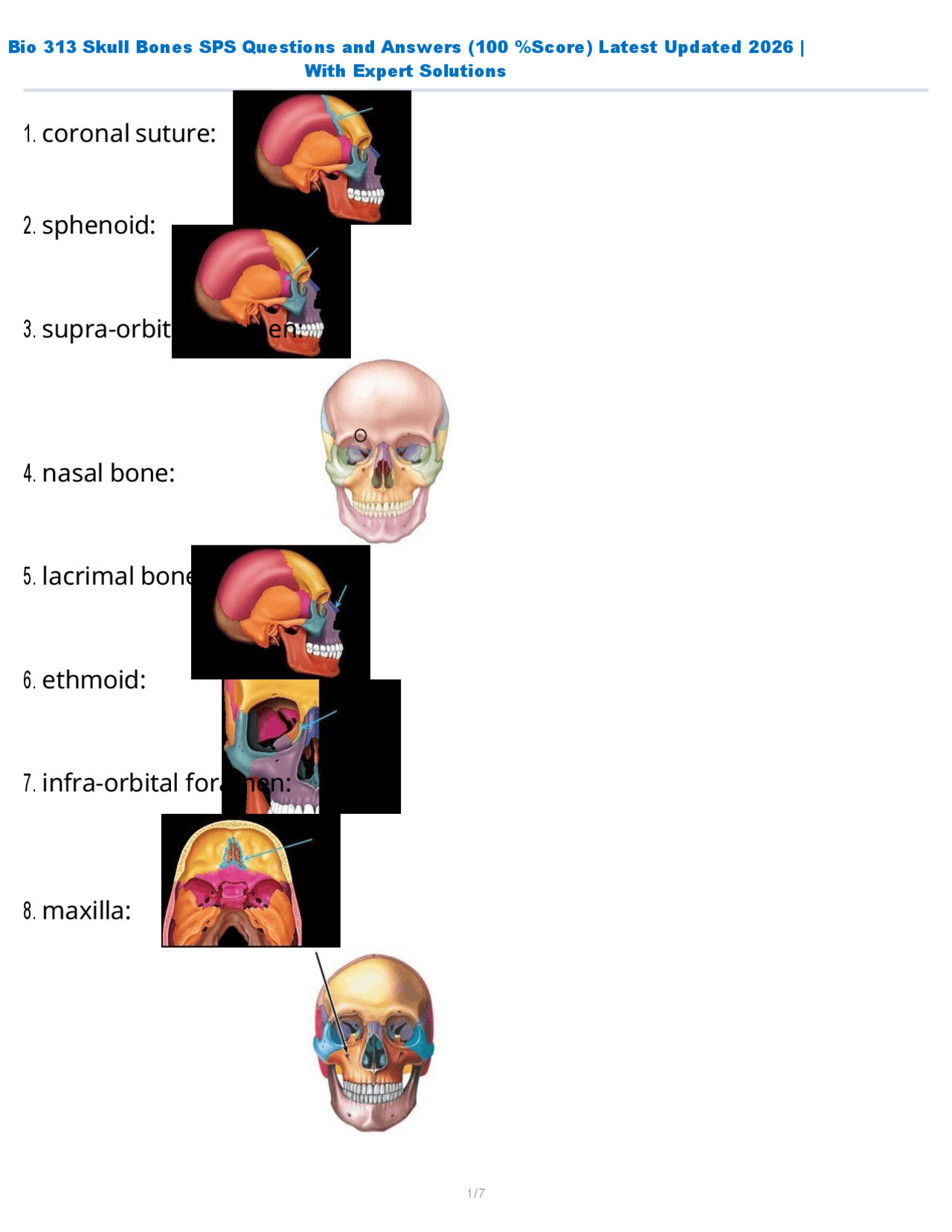 Bio 313 Skull Bones SPS Questions and Answers (100 %Score) Latest ...