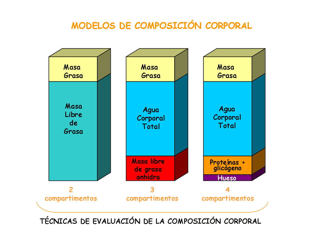 Resumen Diapositivas Más Importantes Resúmenes De Medicina Docsity