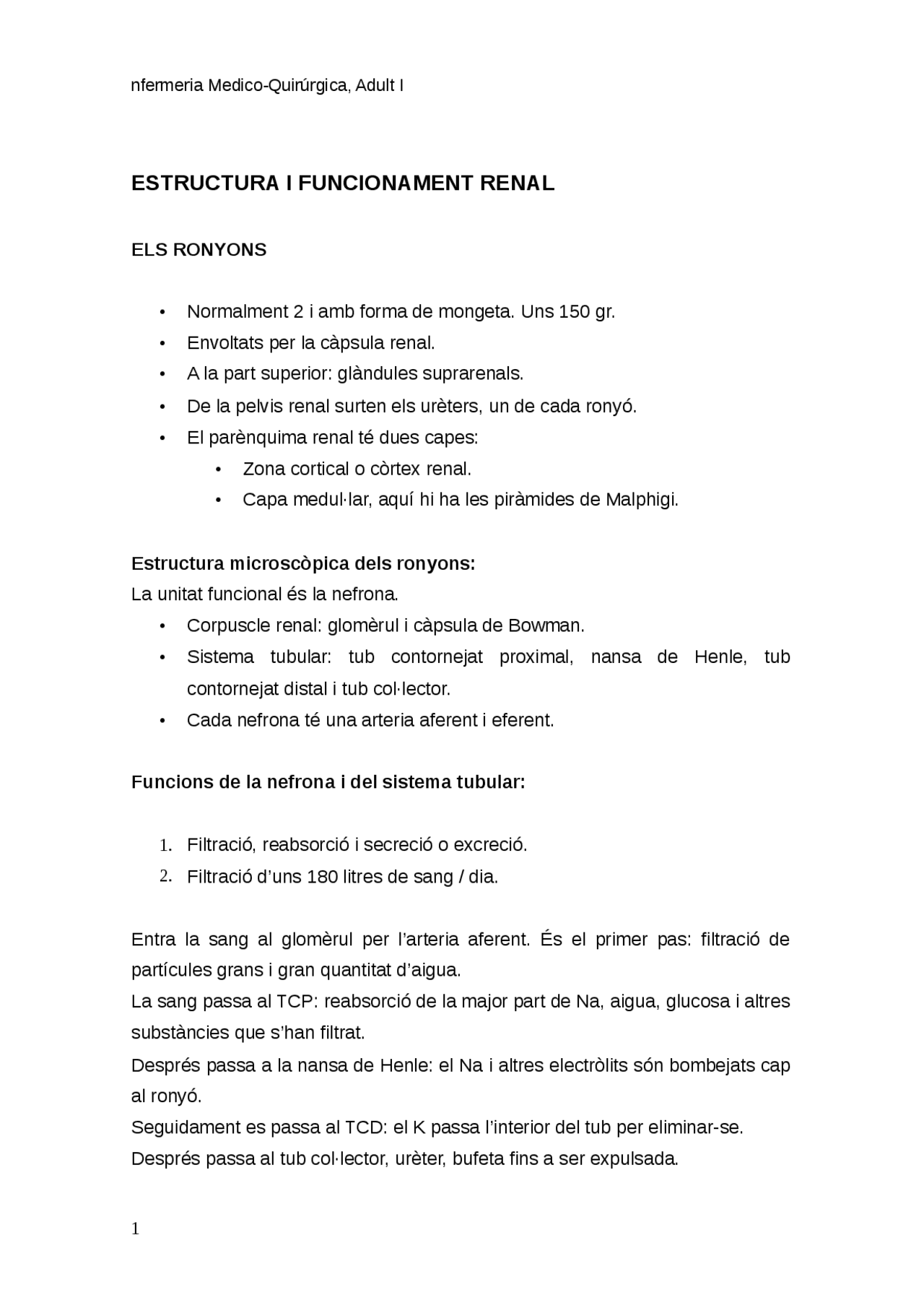 ESTRUCTURA I FUNCIONAMENT RENAL ELS RONYON - Apuntes de Enfermería ...
