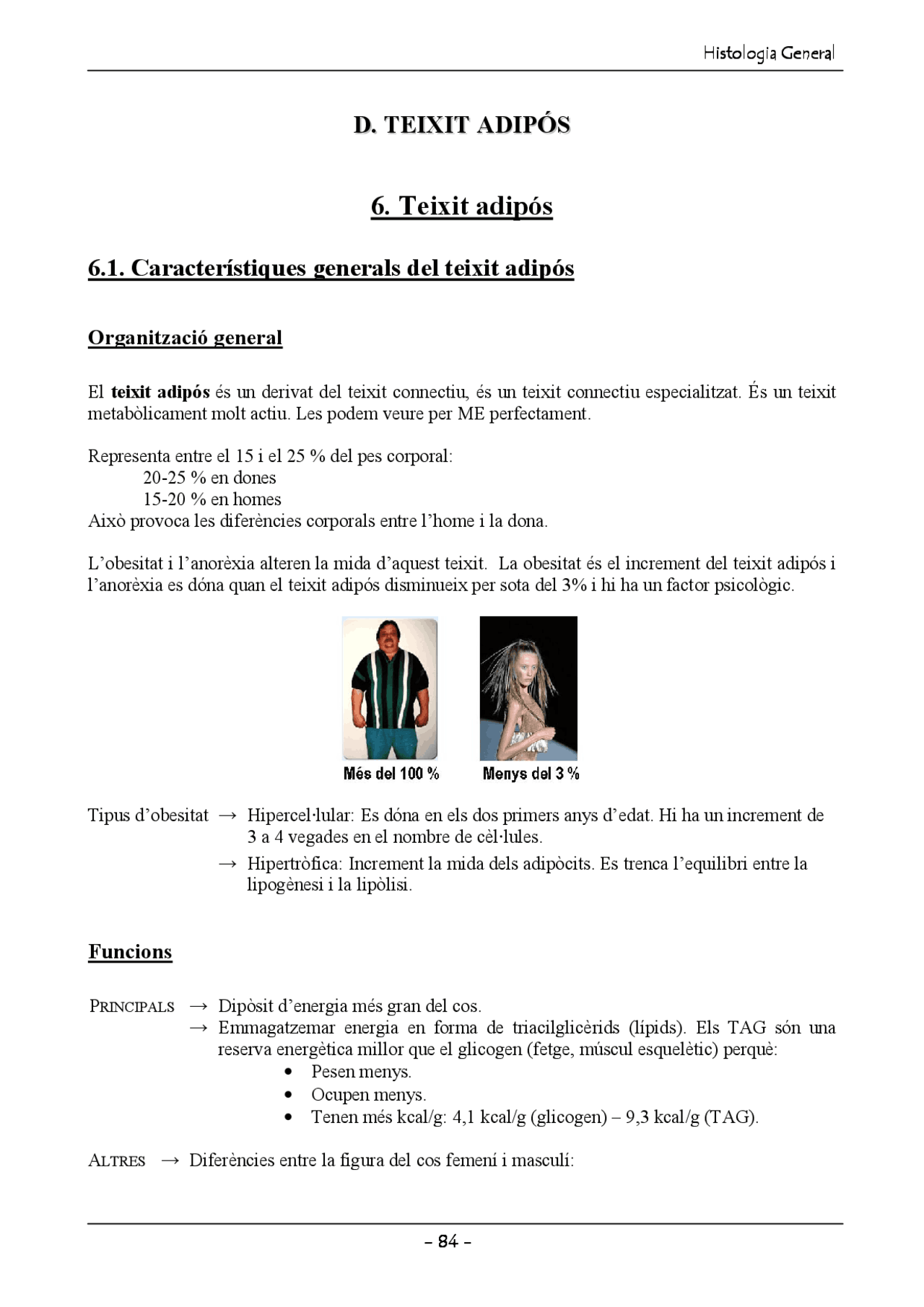 D. TEIXIT ADIPÓS - Apuntes de Histología - Docsity