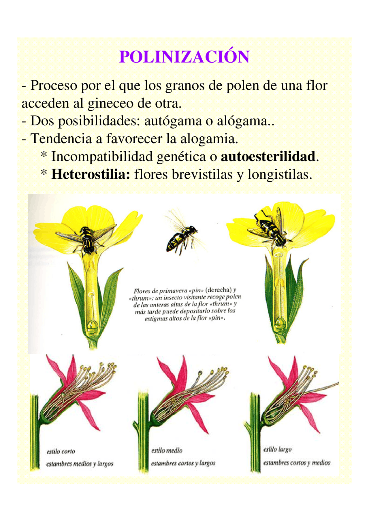 Polinització - Apuntes de Botánica y Agronomía - Docsity