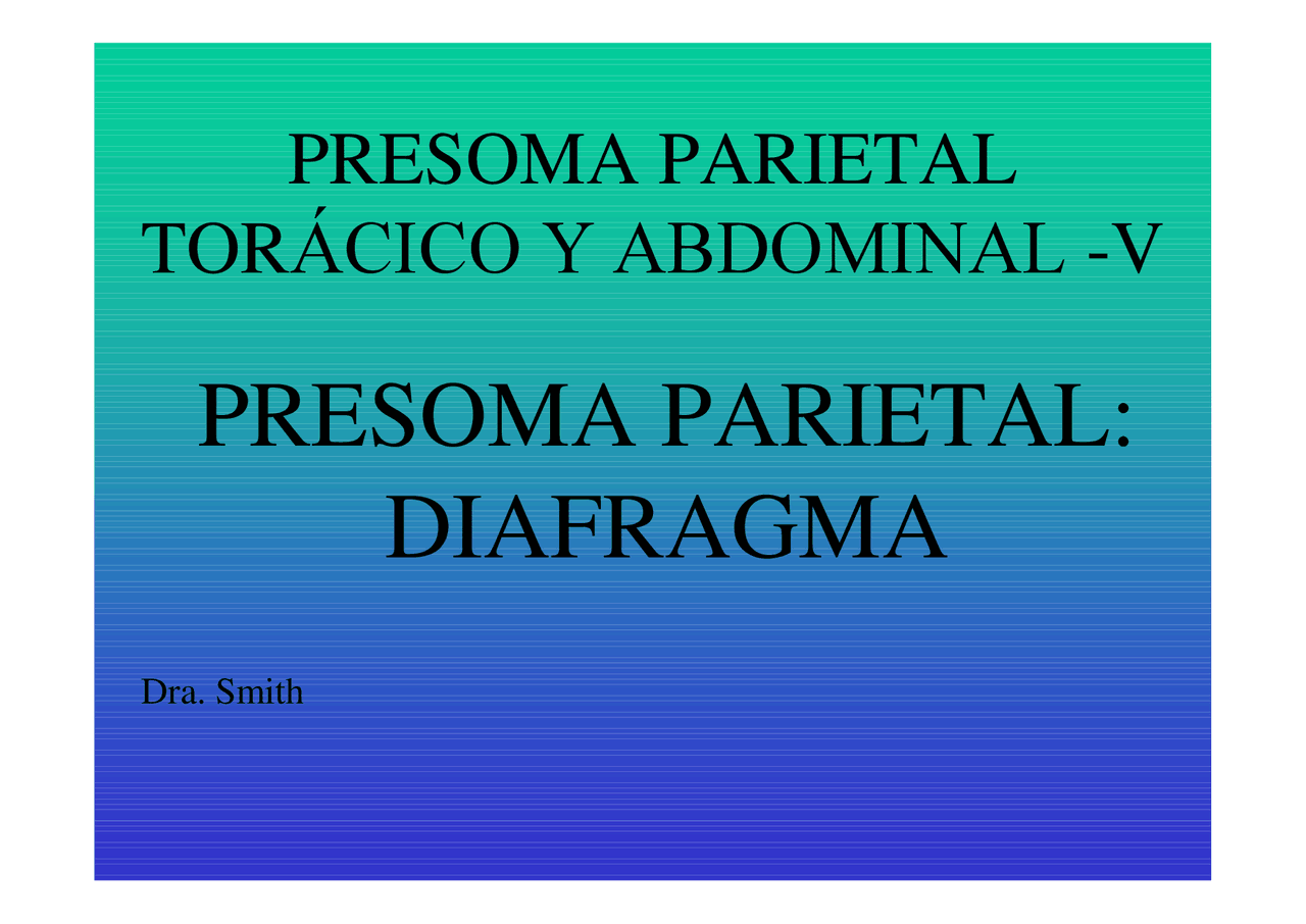 PRESOMA PARIETAL TORÁCICO Y ABDOMINAL V - Apuntes de Anatomía - Docsity