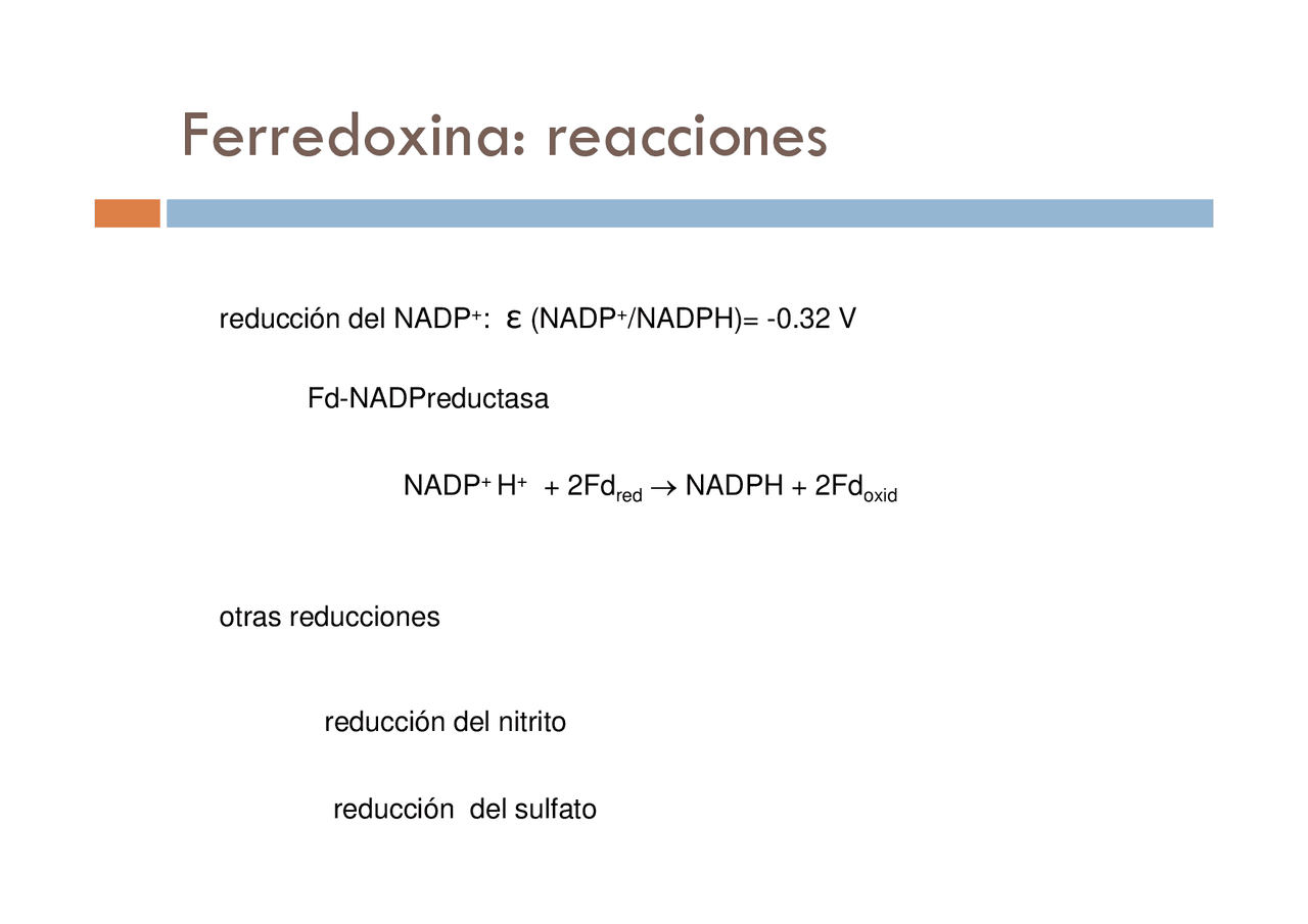 4.5. Reacciones de la ferredoxina - Apuntes de Fisiología de las ...