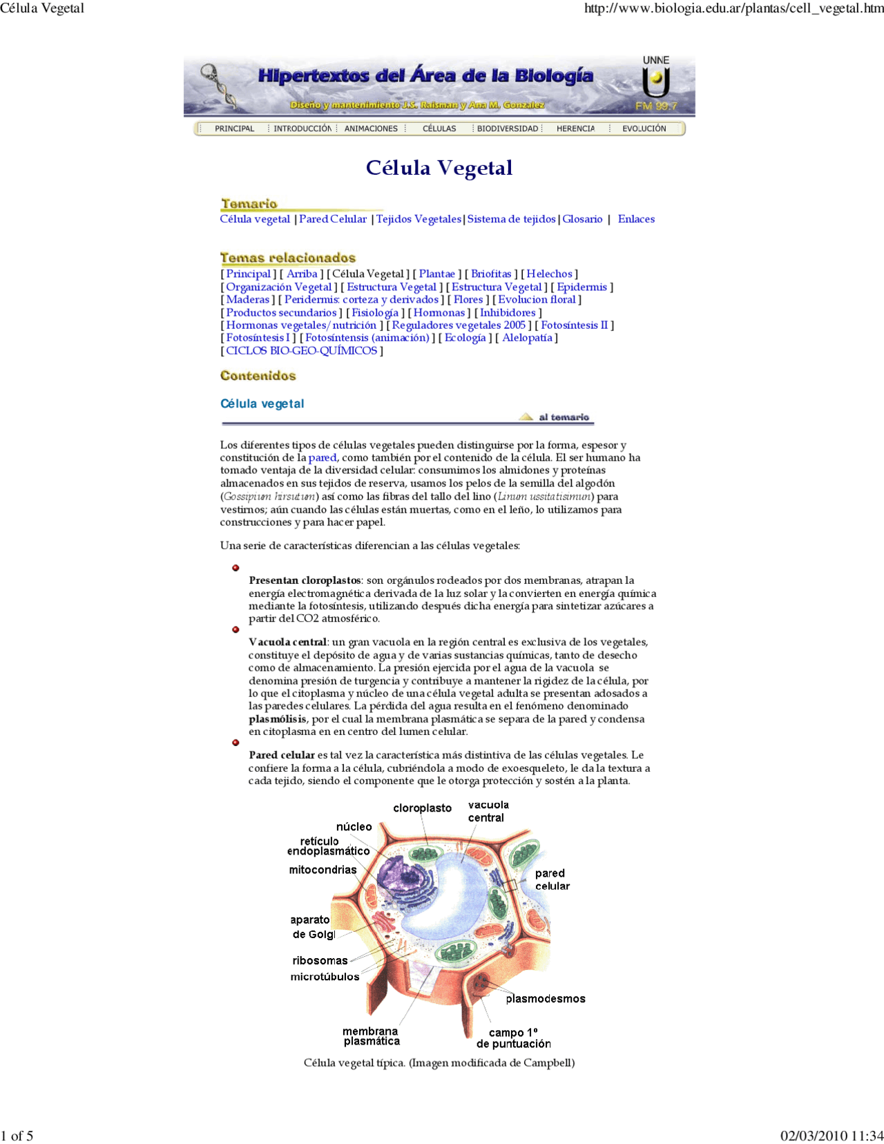 Célula vegetal - Apuntes de Botánica y Agronomía - Docsity