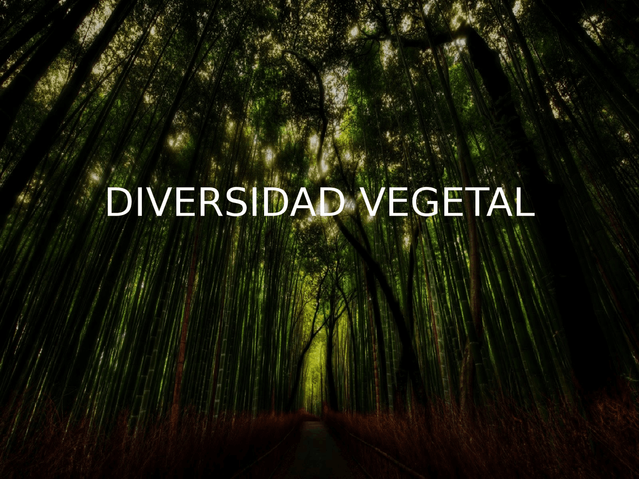 DIVERSIDAD VEGETAL - Apuntes de Biología - Docsity