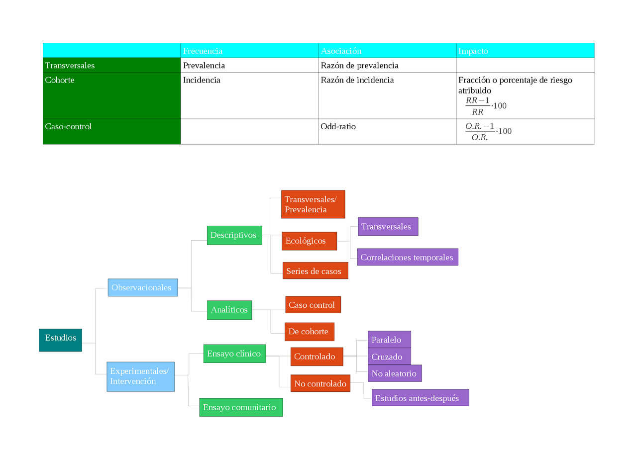 Esquemas de los estudios - Esquemas y mapas conceptuales de Fisioterapia | Docsity