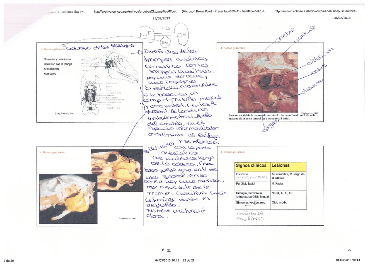 Anatomia - Apuntes de Anatomía - Docsity