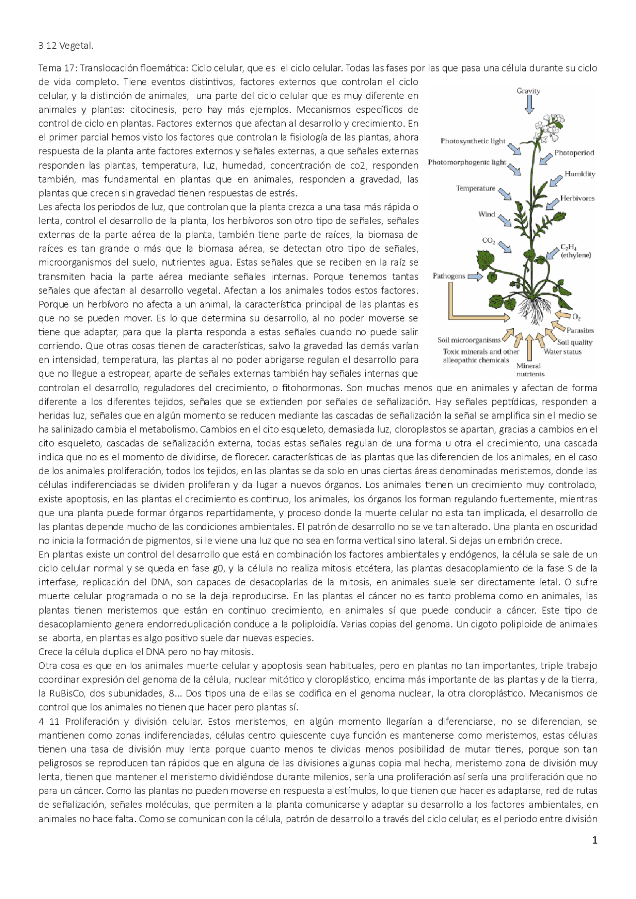 Fisiologia vegetal segundo parcial - Apuntes de Fisiología de las ...