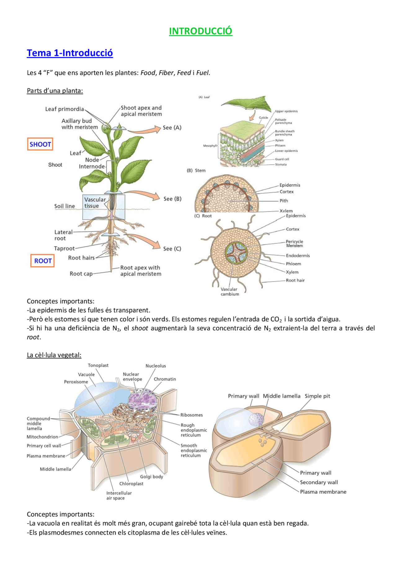 Fiso Vegetal Bloc 1 - Apuntes de Fisiología de las Plantas - Docsity