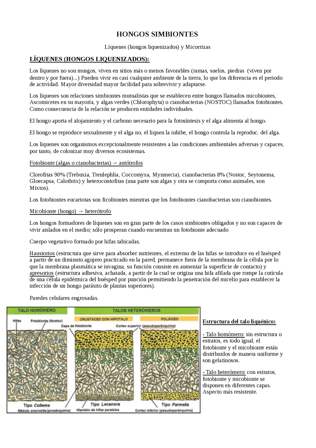 Hongos simbiontes - Apuntes de Botánica y Agronomía - Docsity