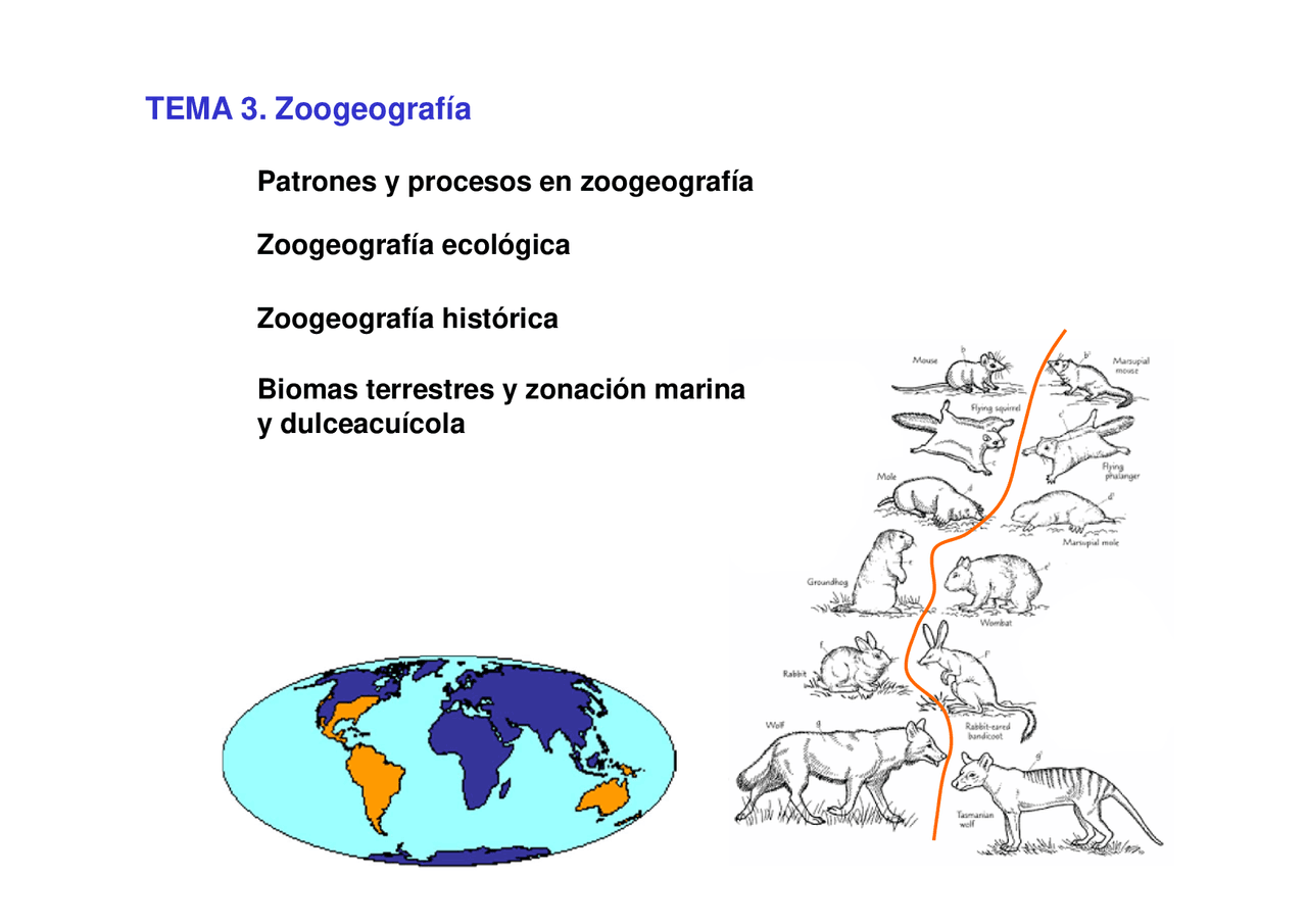 Tema 3 zoogeografía - Apuntes de Zoología - Docsity