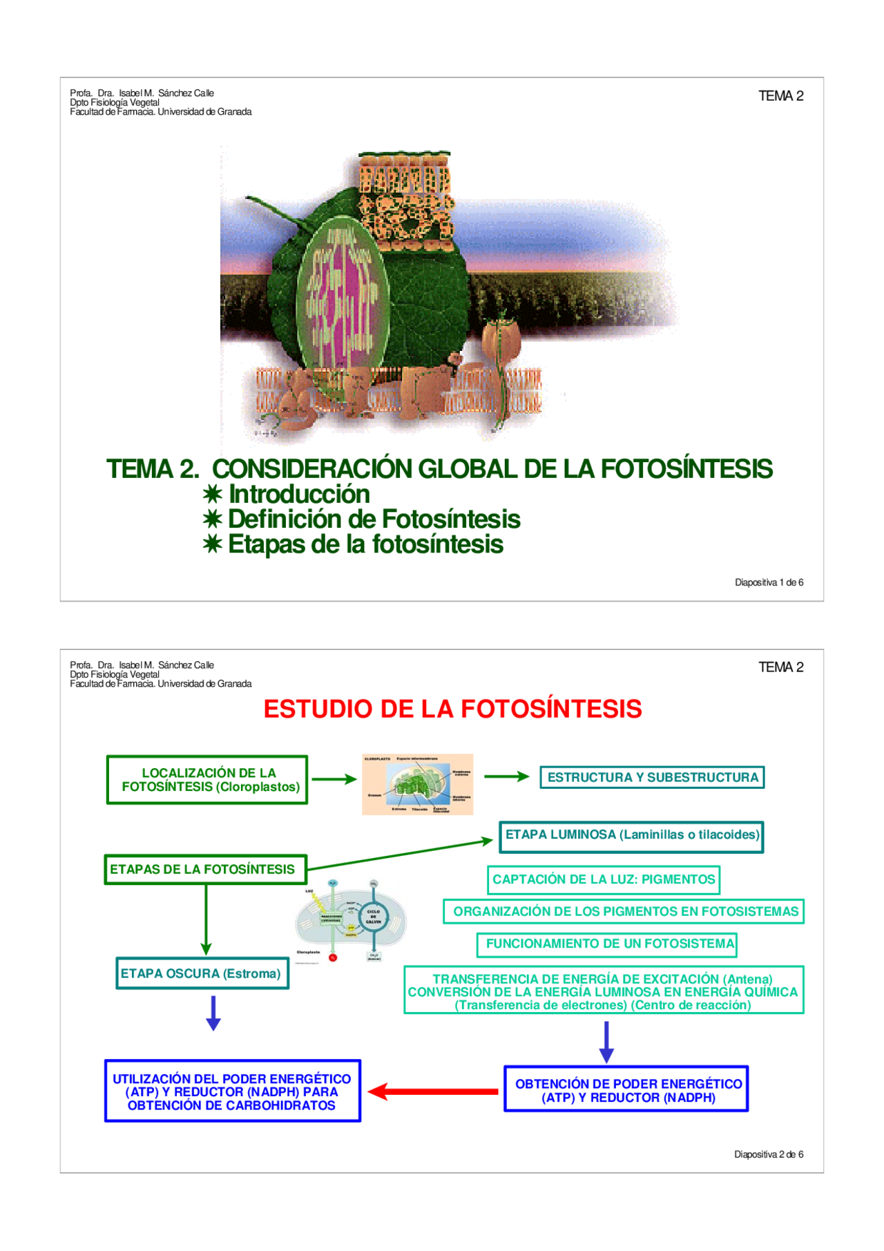 Fisología vegetal tema 2 - Apuntes de Fisiología de las Plantas - Docsity