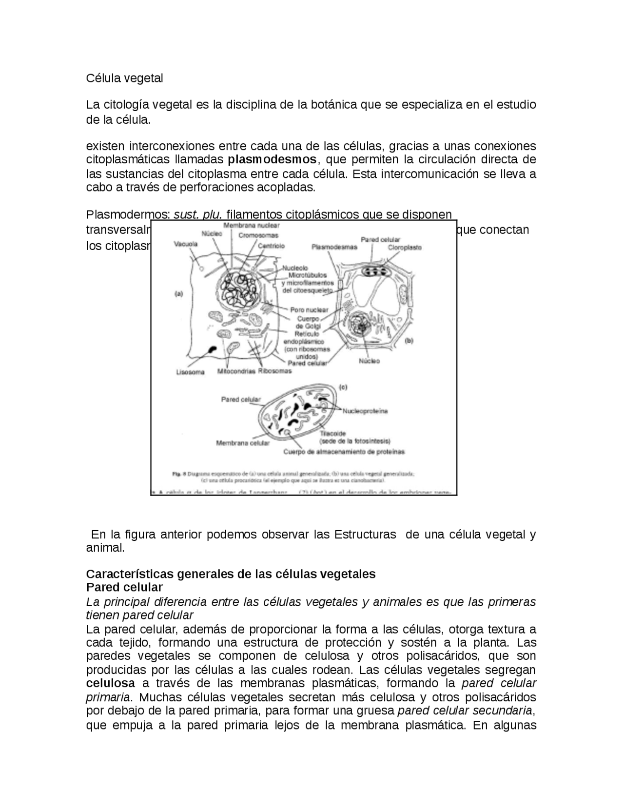Celula vegetal - Apuntes de Botánica y Agronomía - Docsity