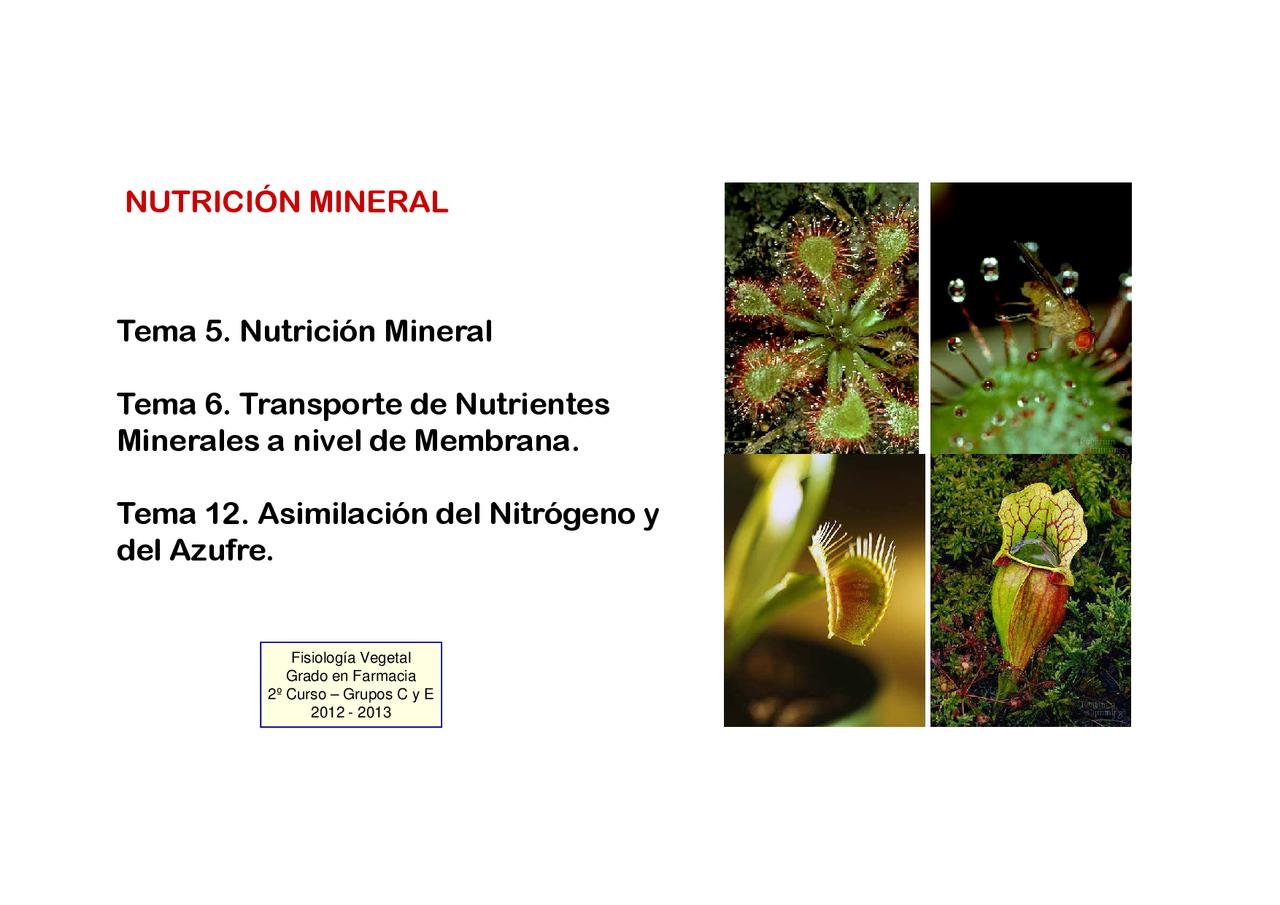 Fisiologia vegetal tema 5 - Apuntes de Fisiología de las Plantas - Docsity