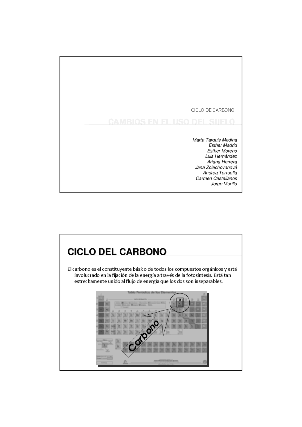 CICLO DEL CARBONO - Apuntes de Ecología - Docsity