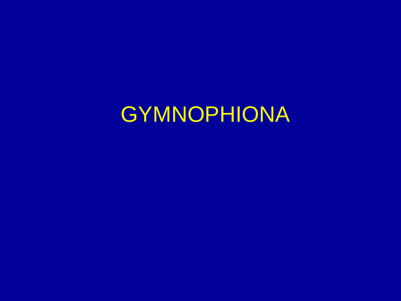 Gymnophiona - Apuntes de Zoología - Docsity