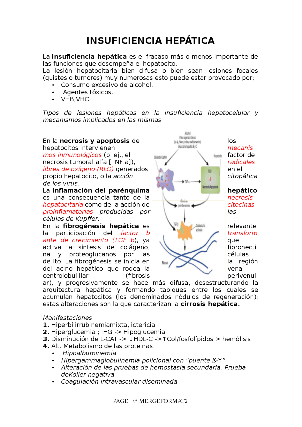 INSUFICIENCIA HEPÁTICA - Apuntes de Patología - Docsity