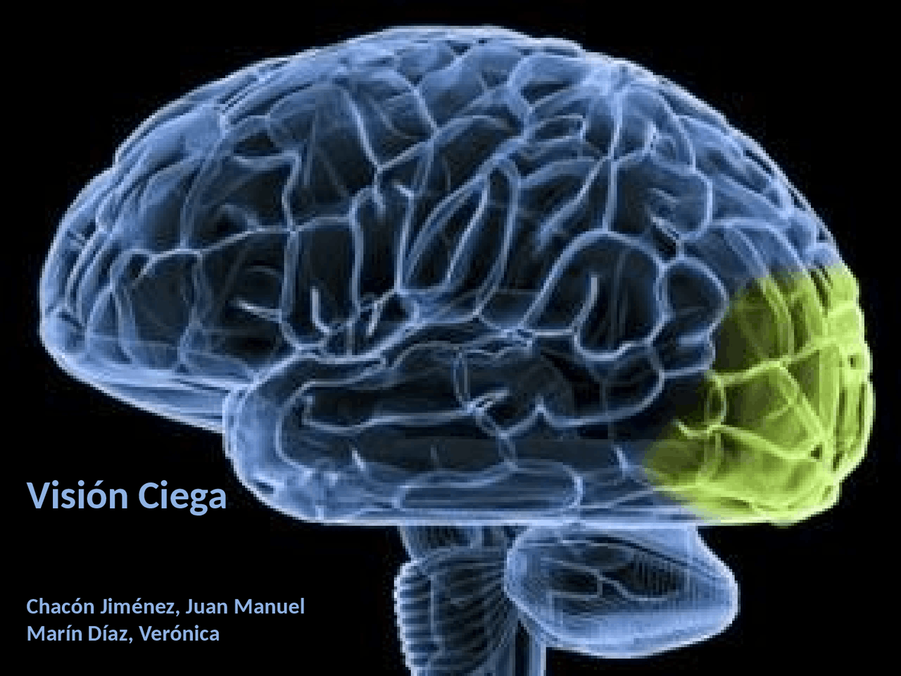 El estímulo visual - Apuntes de Psicología - Docsity