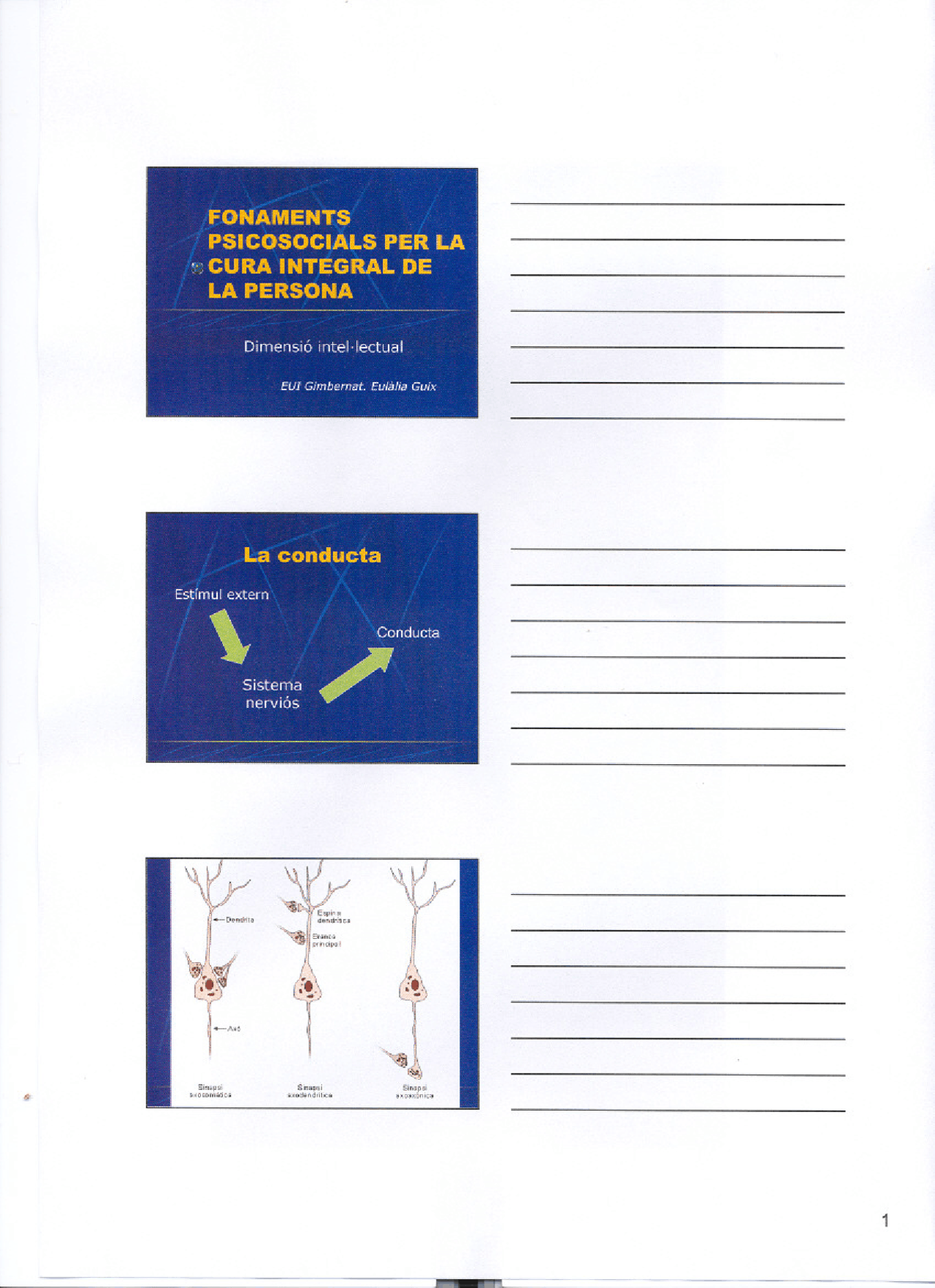 Dimension intelectual - Apuntes de Ciencias Psicosociales - Docsity