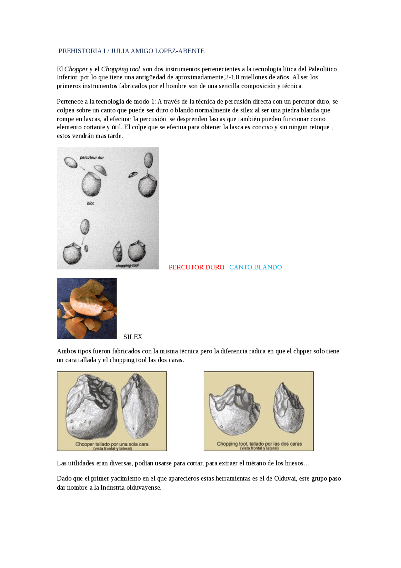 PREHISTORIA I / JULIA AMIGO LOPEZ-ABENTE El Chopper y el Chopping tool ...