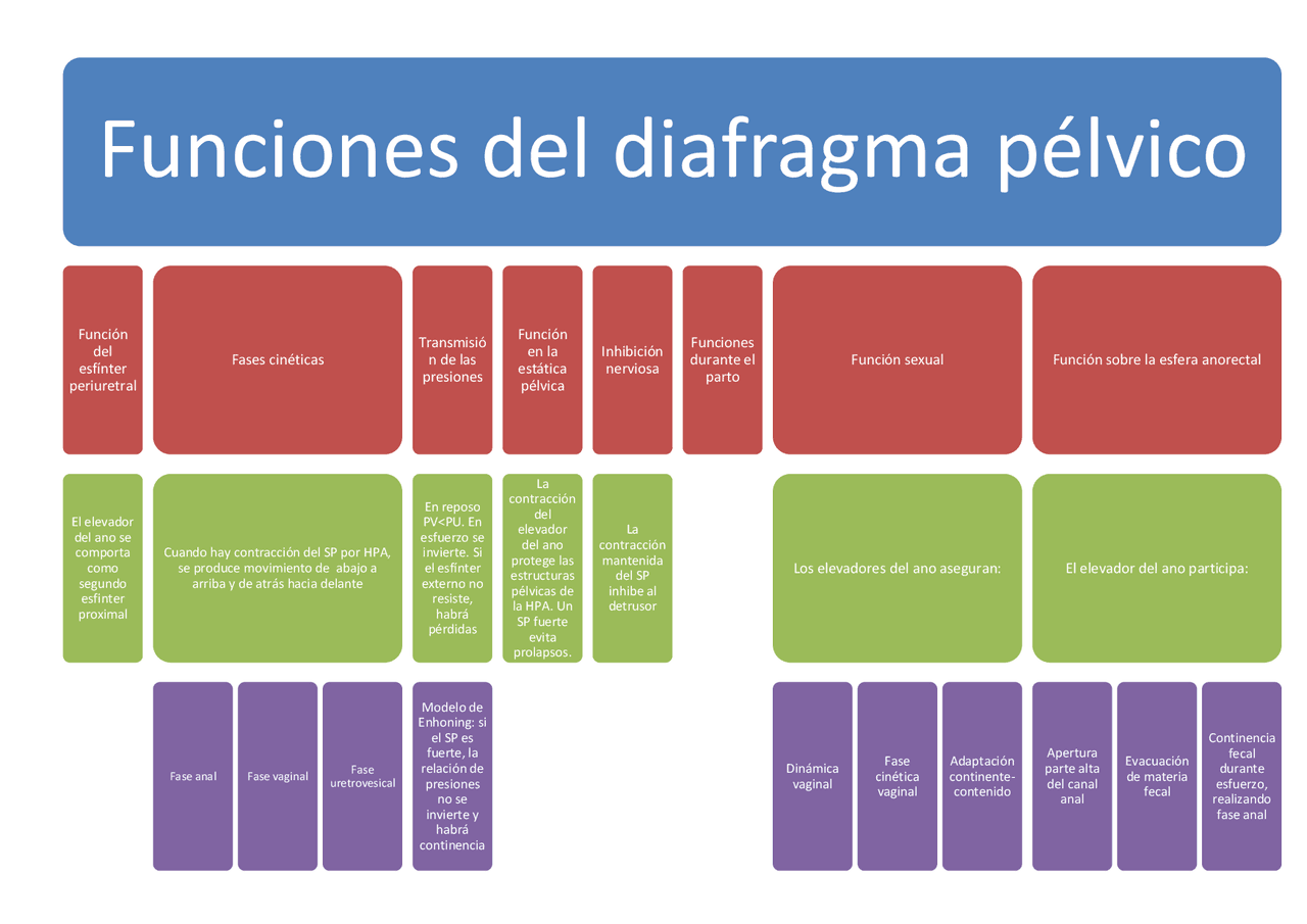 Esquemas de los temas 2-4 y 7 - Esquemas y mapas conceptuales de Fisioterapia - Docsity