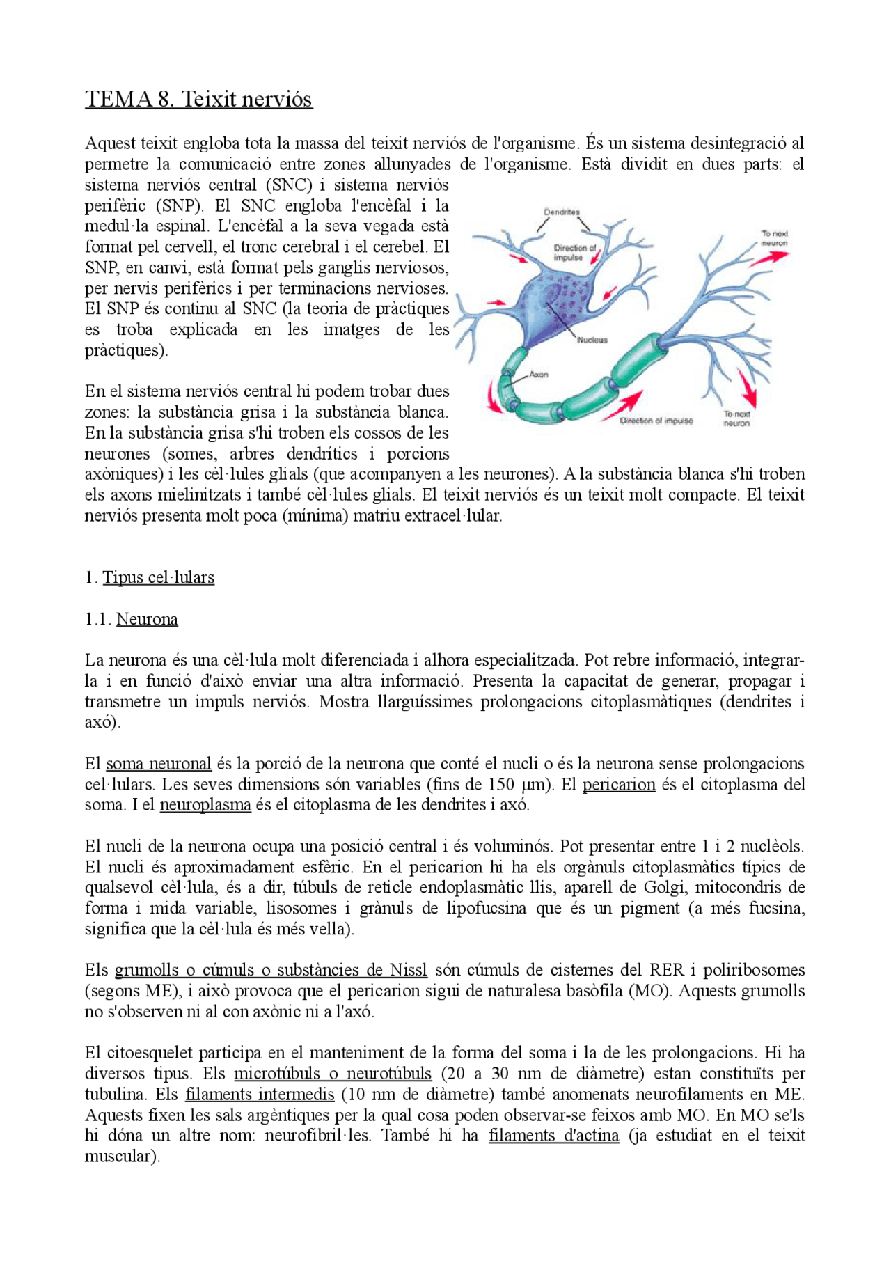 Histologia - Tema 8 (Teixit Nerviós) - Apuntes de Histología - Docsity