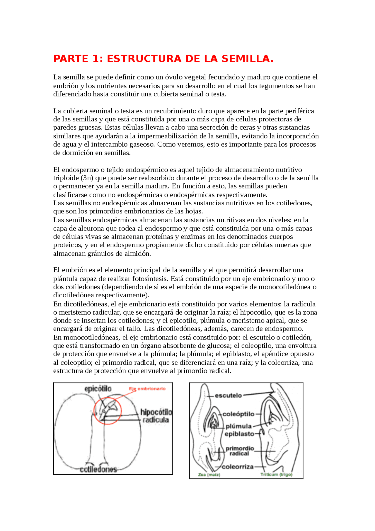 PARTE 1: ESTRUCTURA DE LA SEMILLA La semilla se puede definir com ...